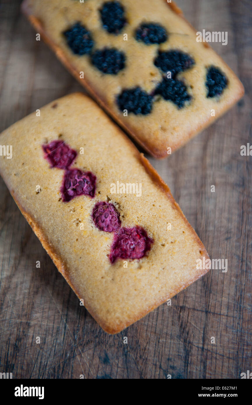 Sponge cake with wild berries Stock Photo - Alamy