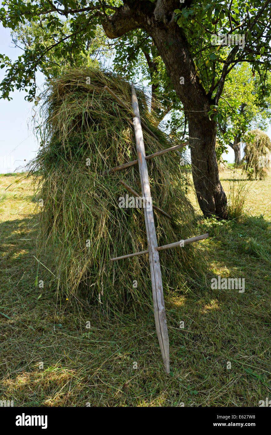 Traditional haystack hi-res stock photography and images - Alamy