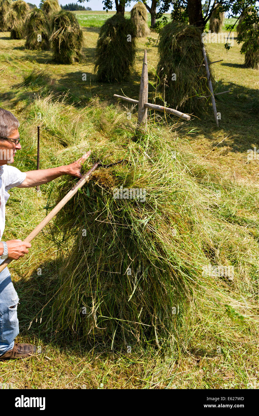 Farmer making a traditional Haystacks, Chiemgau, Upper Bavaria, Germany ...