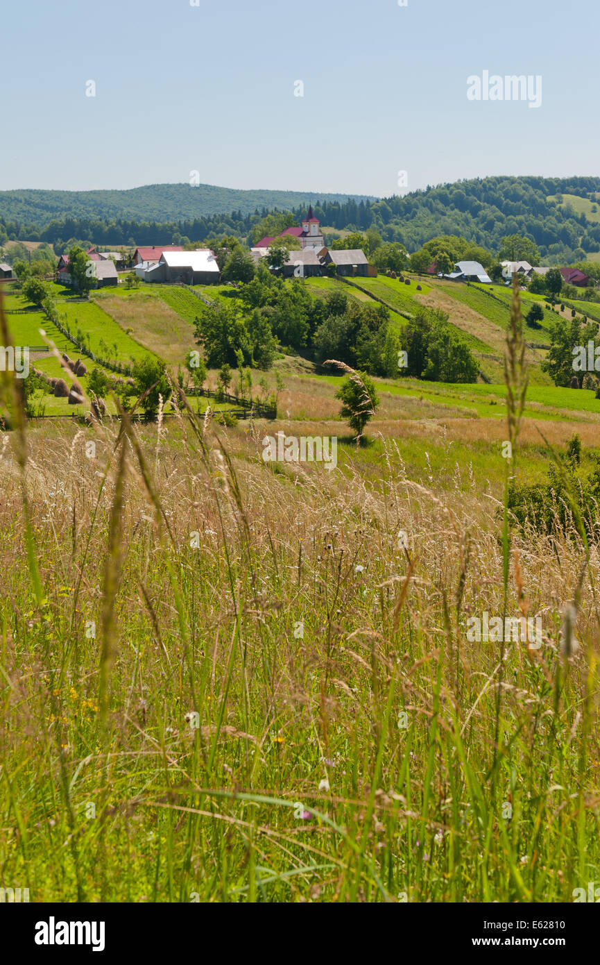 View of Plesa village in Romania Stock Photo - Alamy