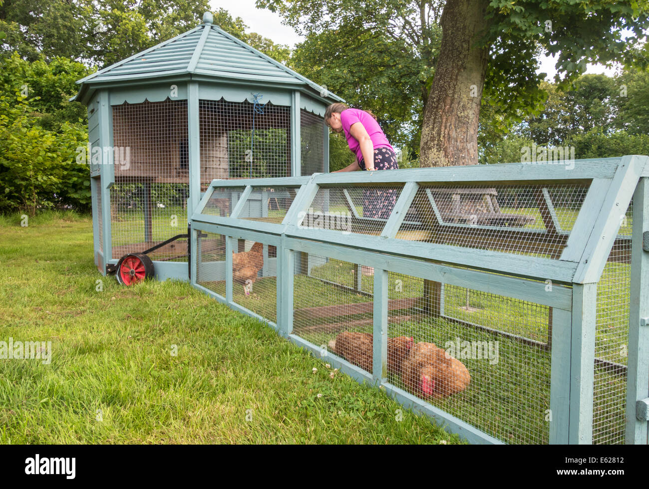Exmouth, Devon, England. July 2014. A well made, hand built chicken ...