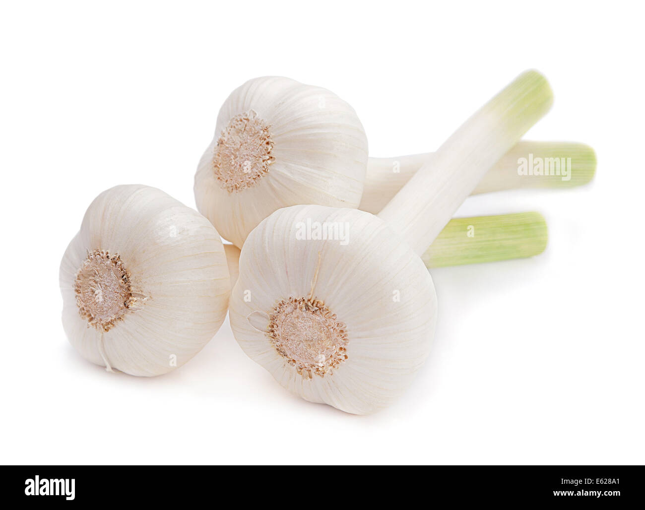 Garic Cut Out Stock Images & Pictures - Alamy