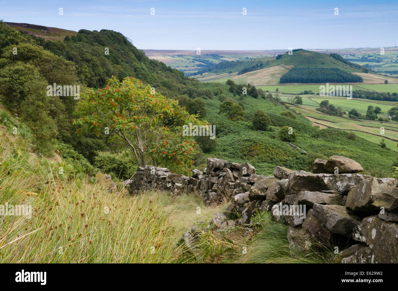 Stonewall and view of Fryup Dale in the North York Moors Stock Photo ...