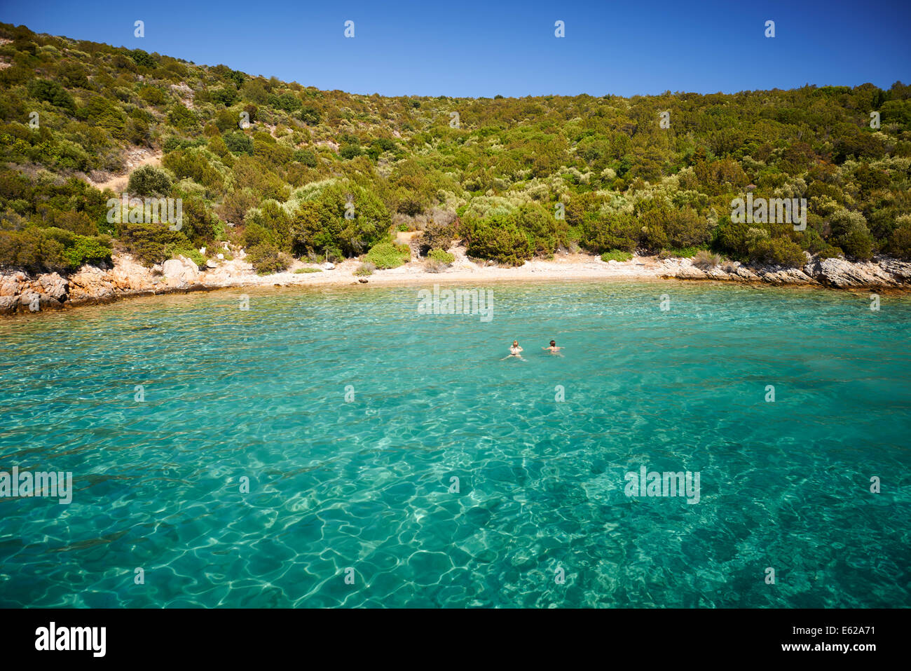 Swim ashore hi-res stock photography and images - Alamy
