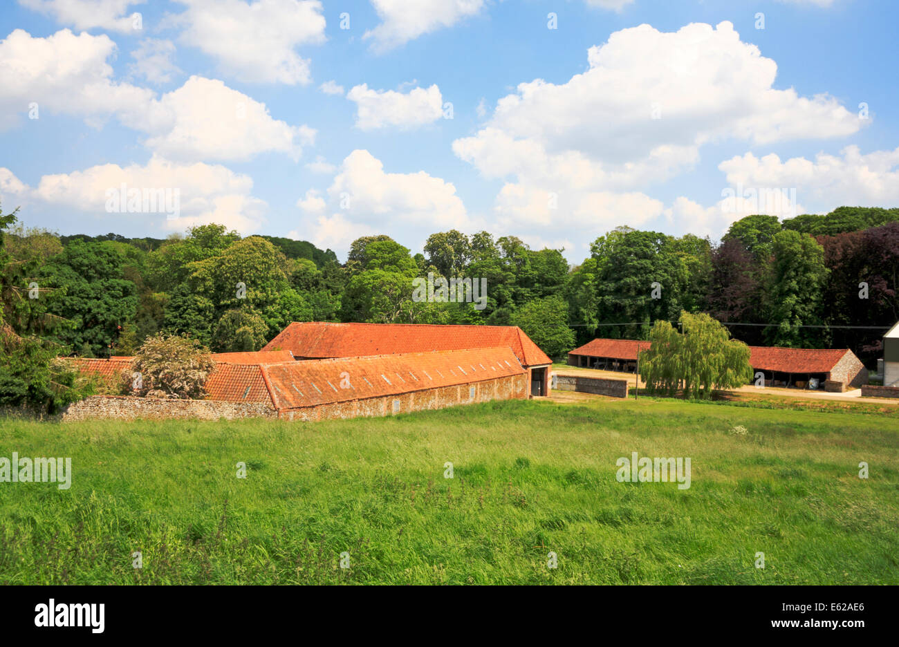 A view of a barn complex on a farm in West Norfolk, England, United ...