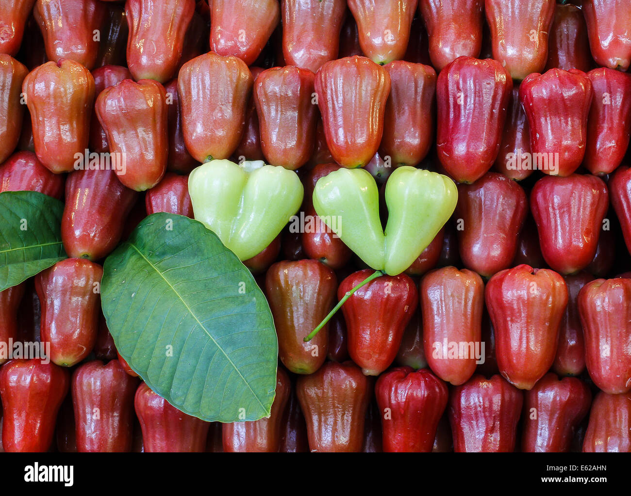 Four green rose apple lay on red rose apple.sweet fruit from asian ...