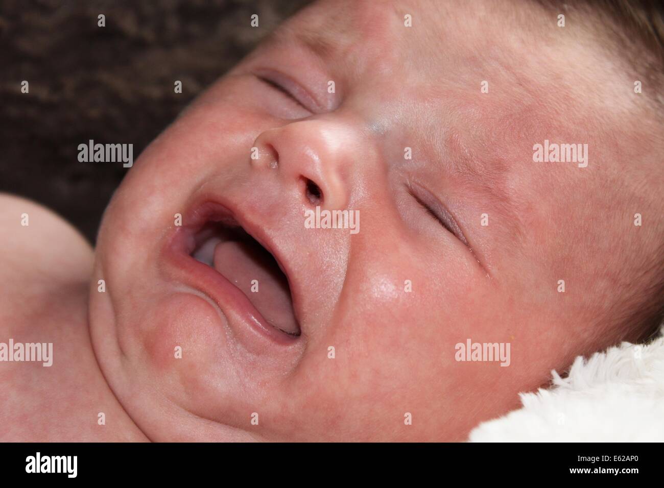 A newborn baby boy, captured in a portrait showing his expressive face ...
