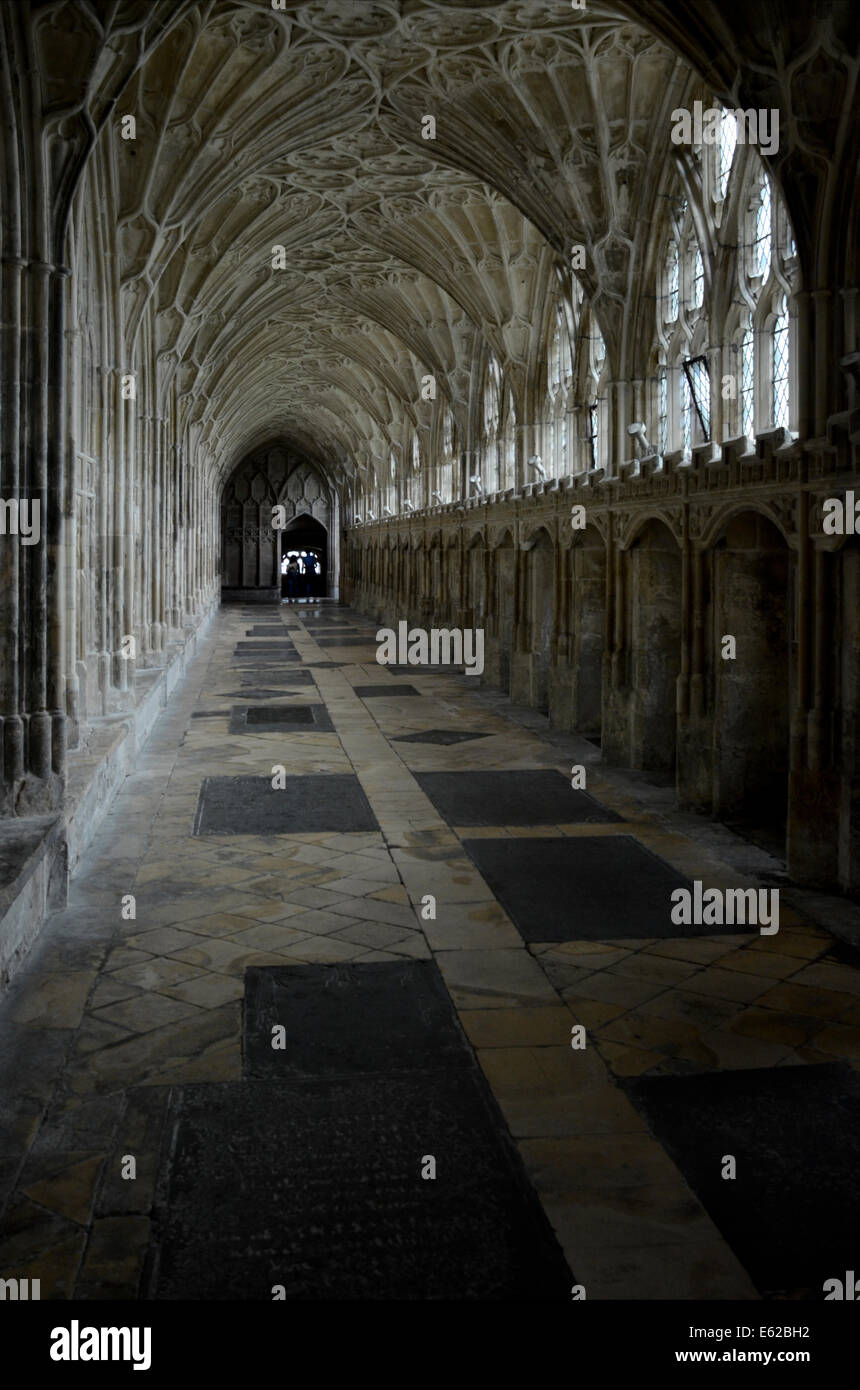 Stone Fan Vaulting in ceiling, Gloucester Cloisters Stock Photo - Alamy