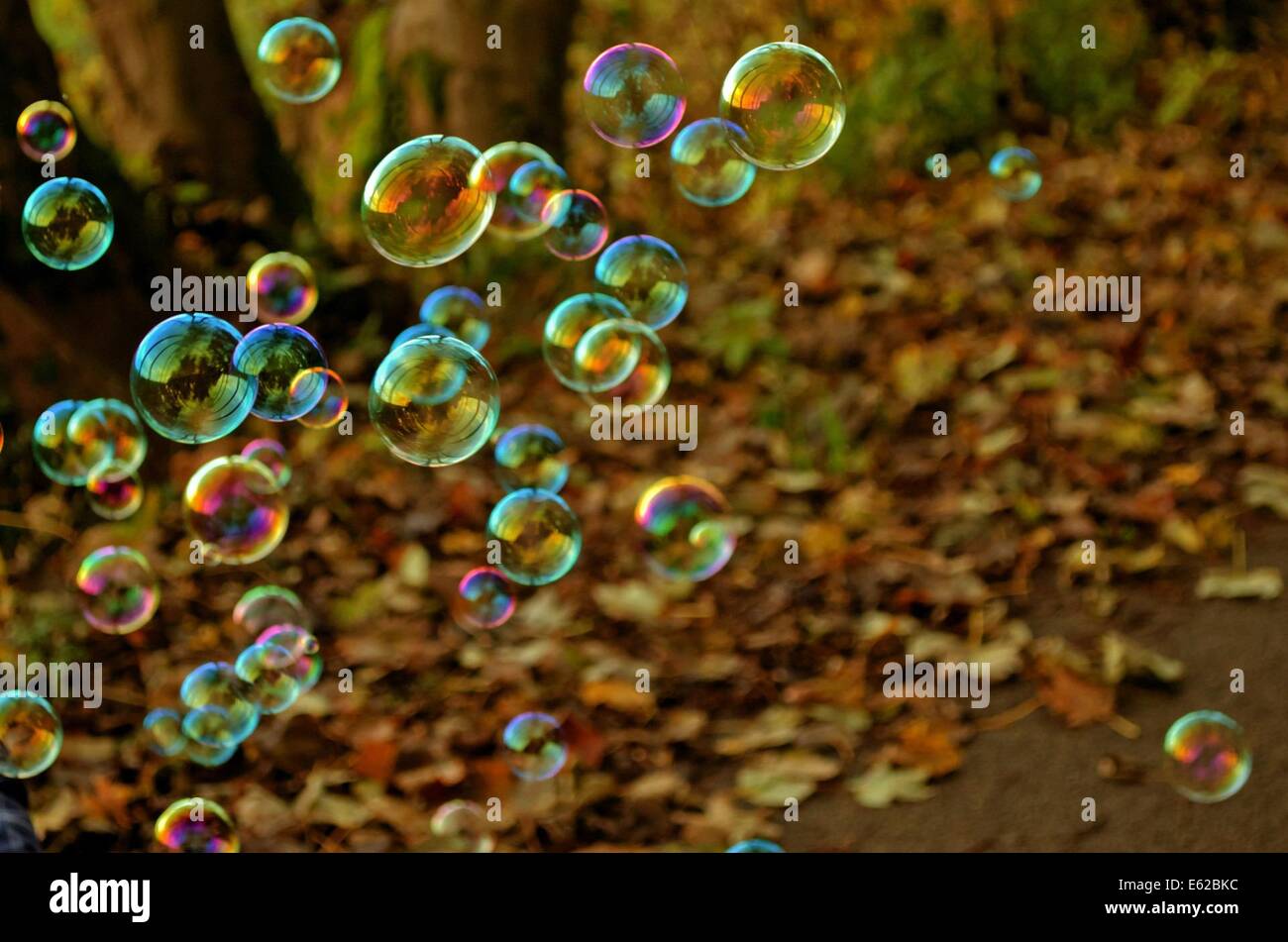 This image captures a fun and colorful game involving bubbles, with ...