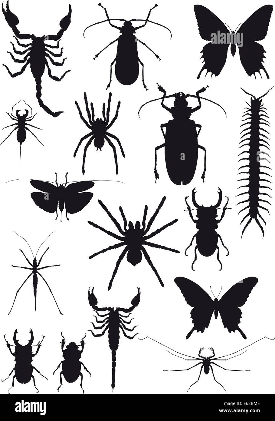 Sting set hi-res stock photography and images - Alamy