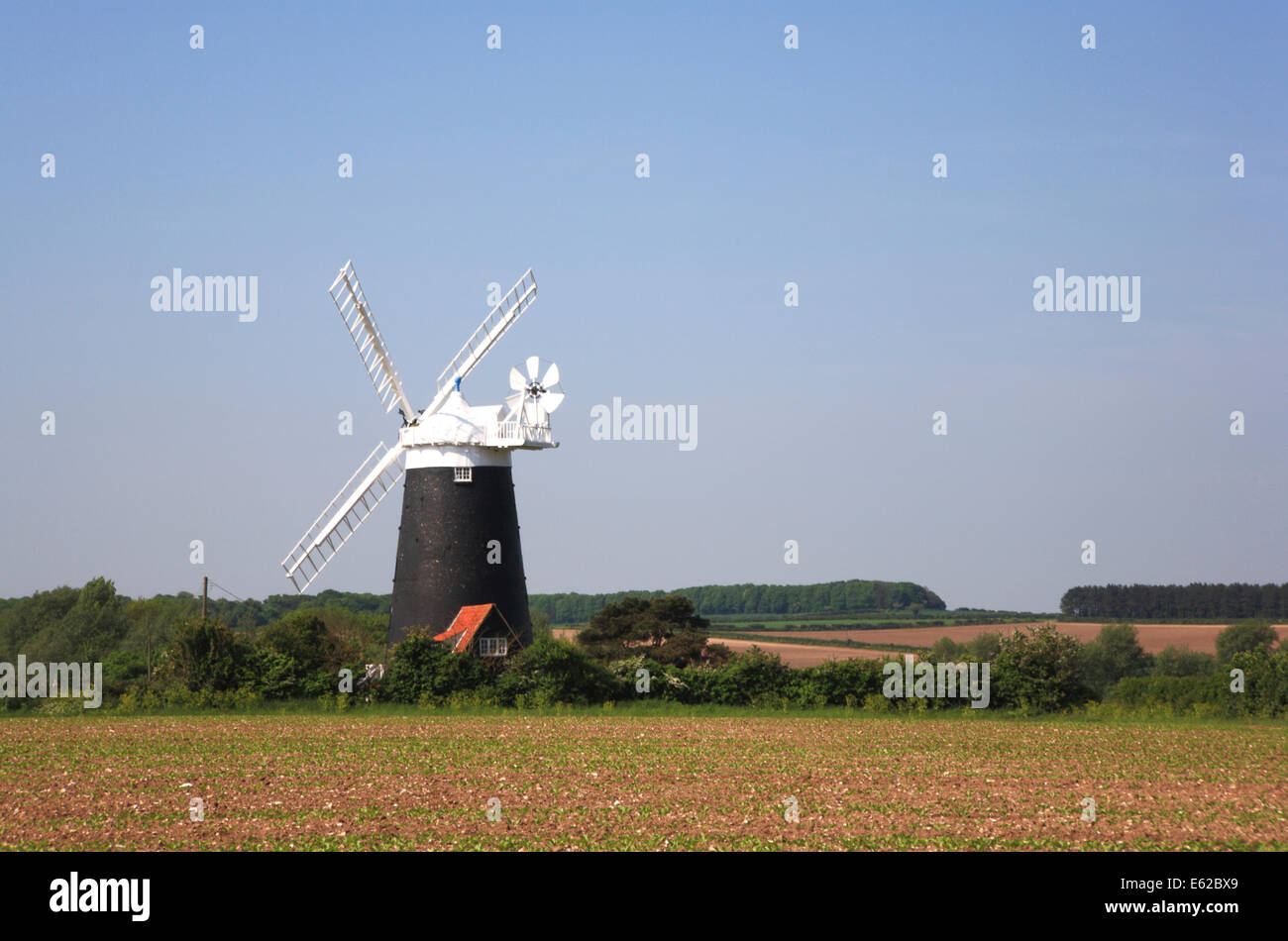 A view of Burnham Overy Staithe windmill by the A149 coast road at ...