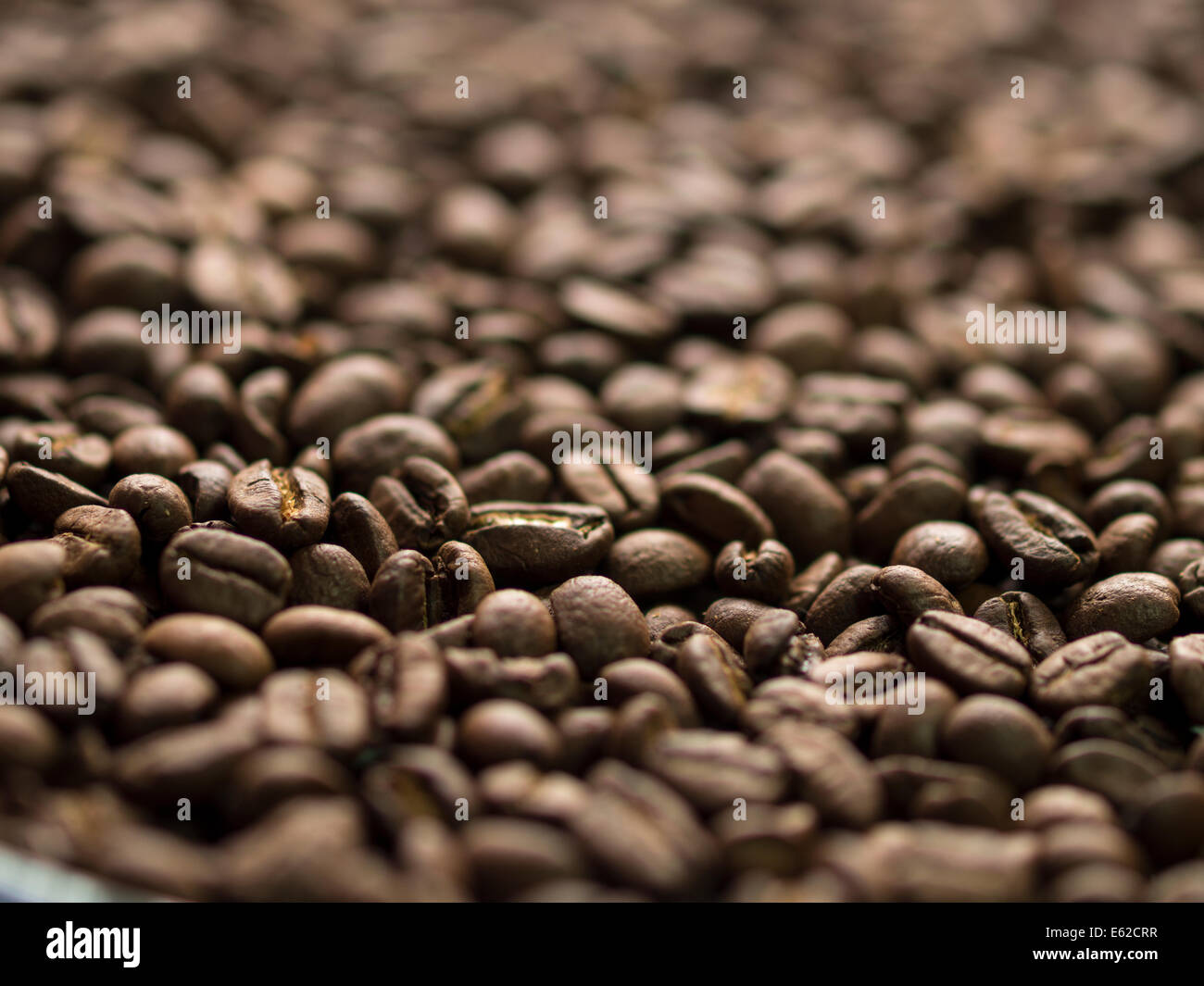 close up of coffee beans Stock Photo - Alamy