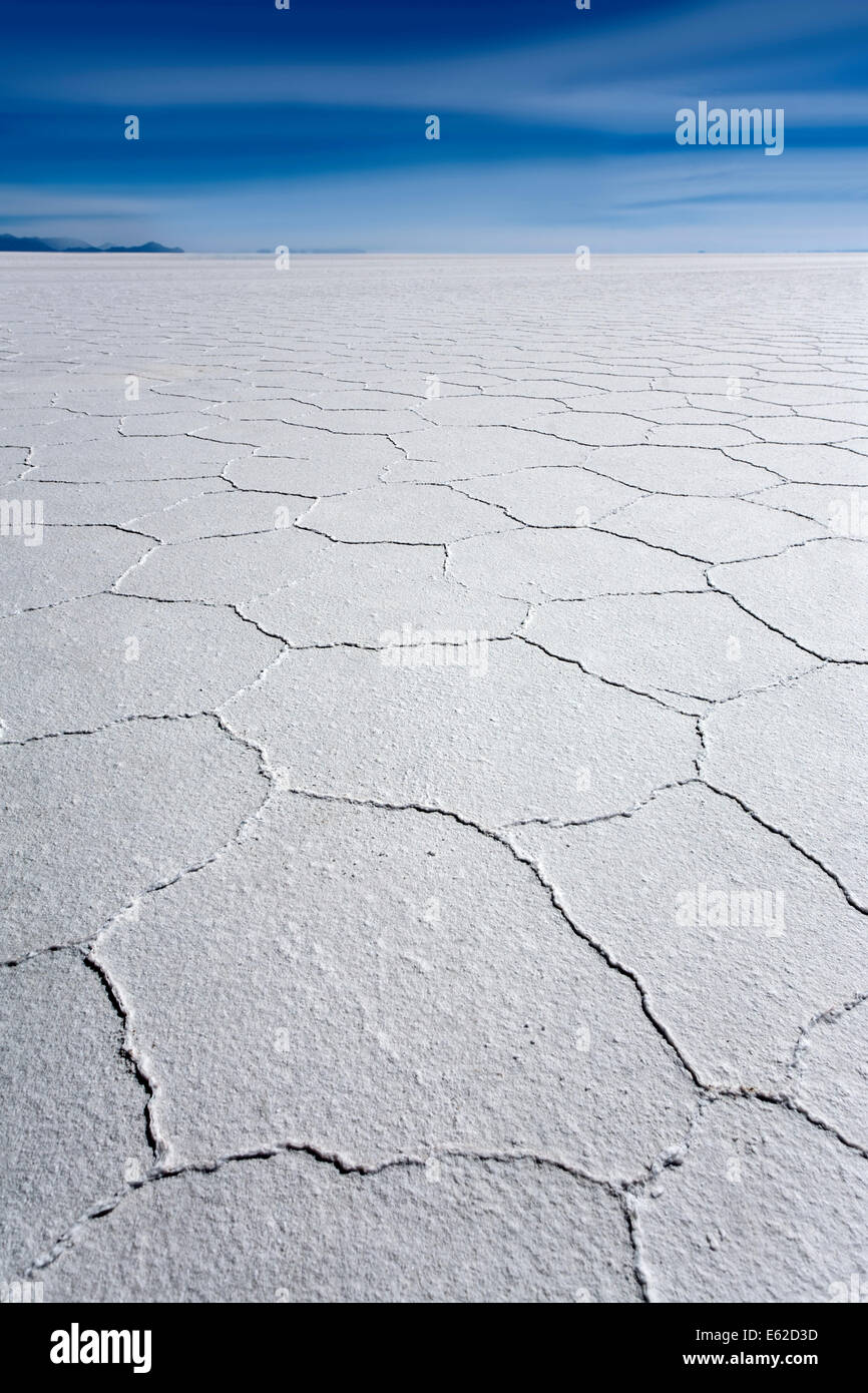 Salt hexagons. Salar de Uyuni. Bolivia Stock Photo - Alamy