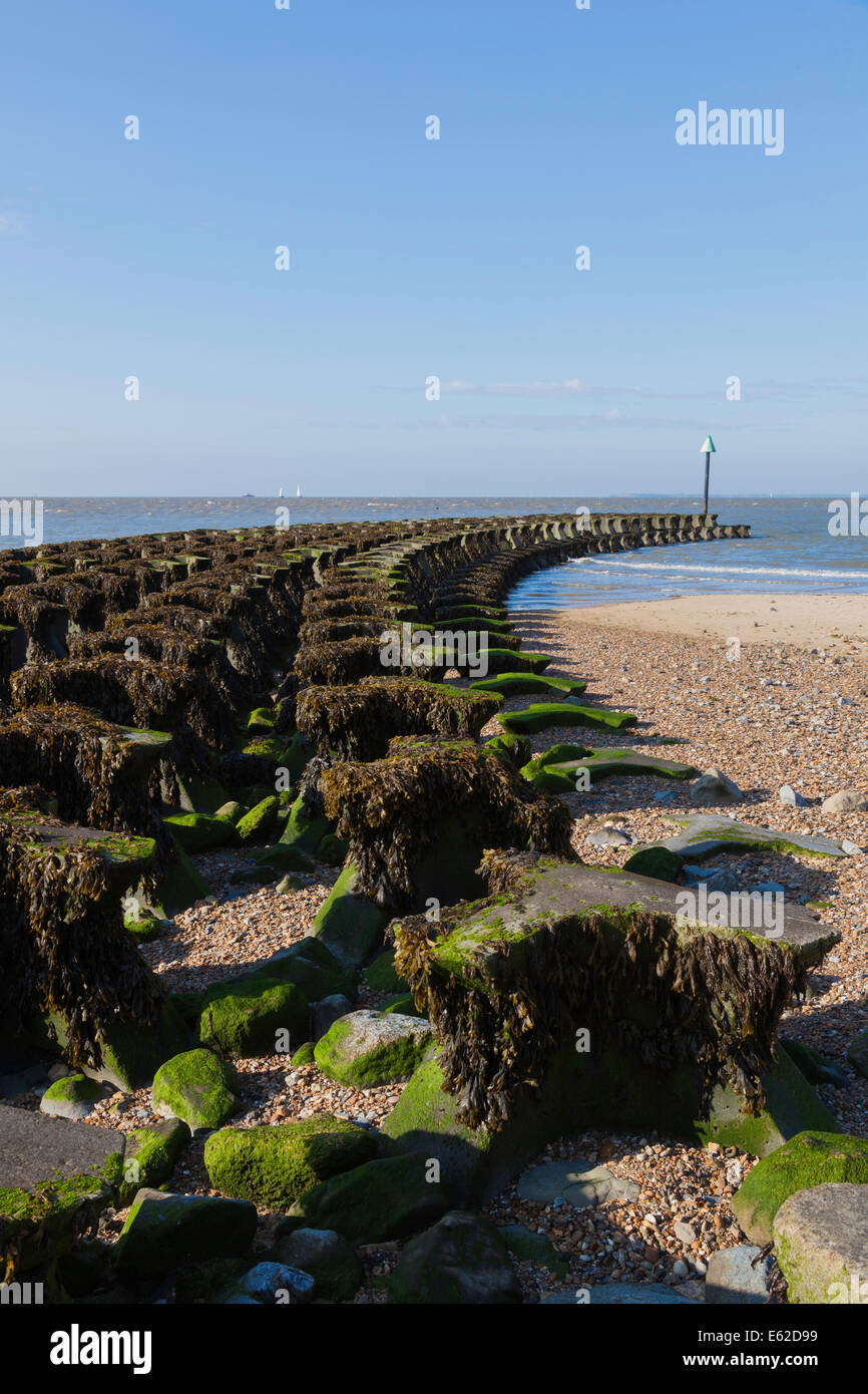 Concrete sea defences algae hi-res stock photography and images - Alamy