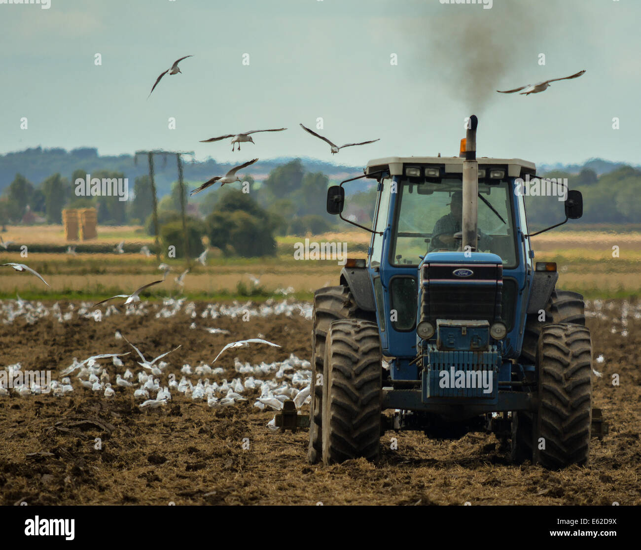 Plough tractor hi-res stock photography and images - Alamy