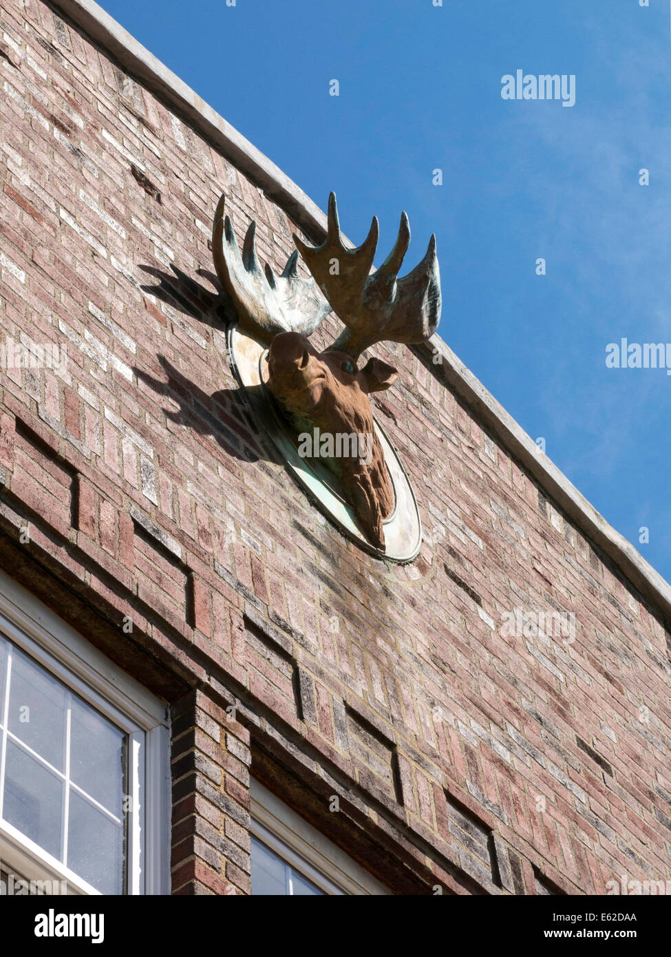 Royal order of moose hi-res stock photography and images - Alamy