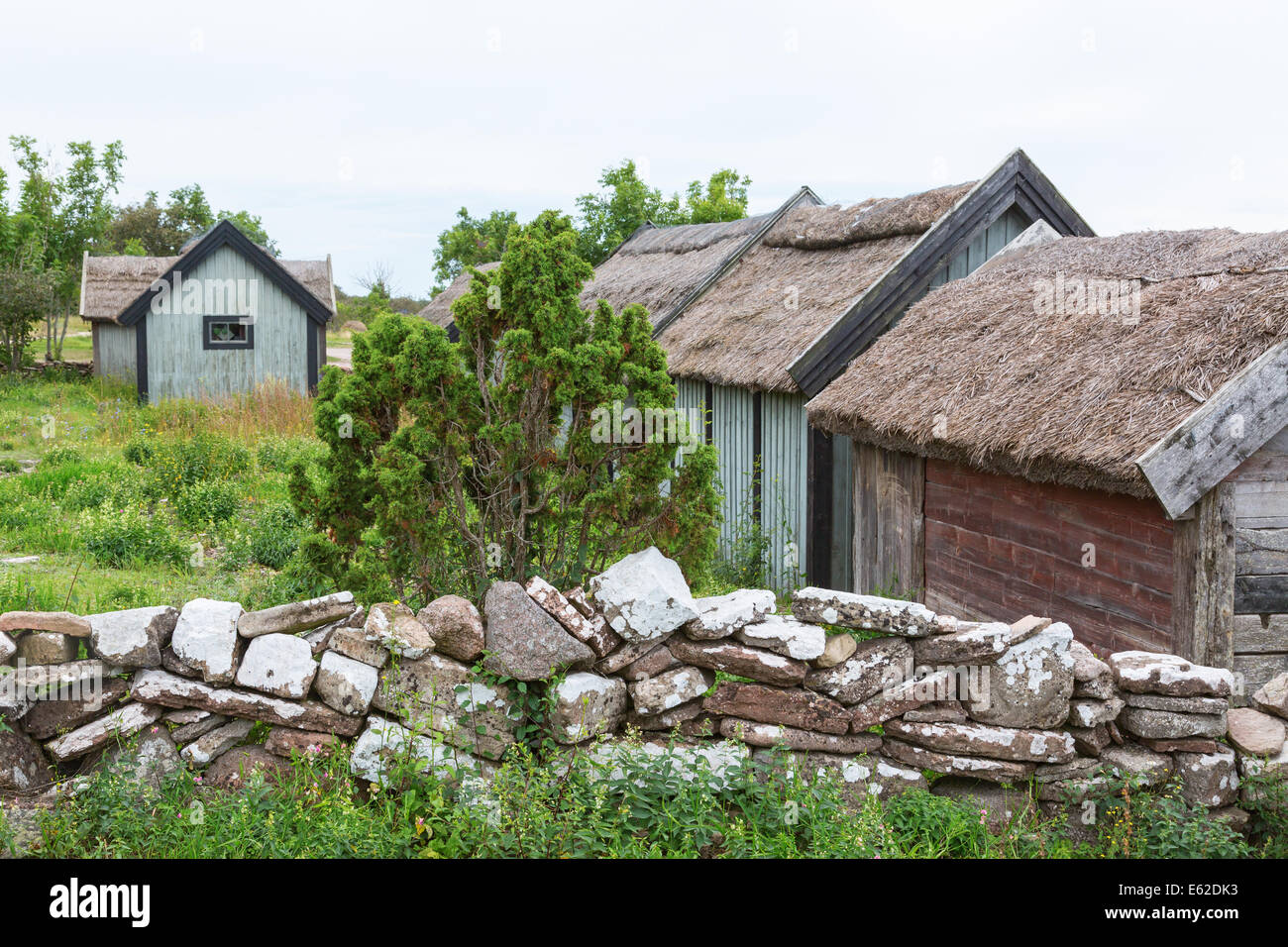 Overgrown cottage garden hi-res stock photography and images - Alamy
