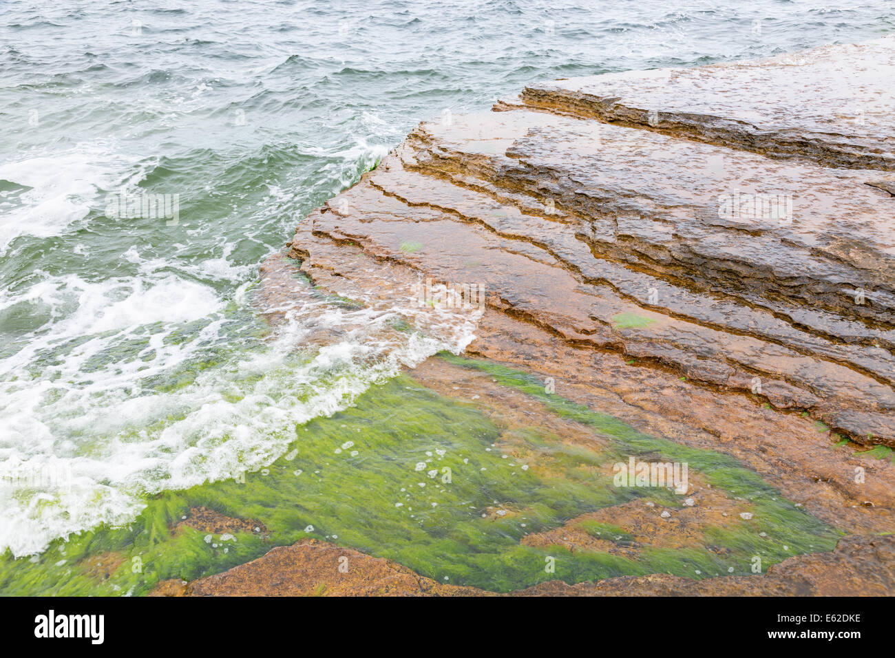 Limestone rocks at the beach Stock Photo - Alamy