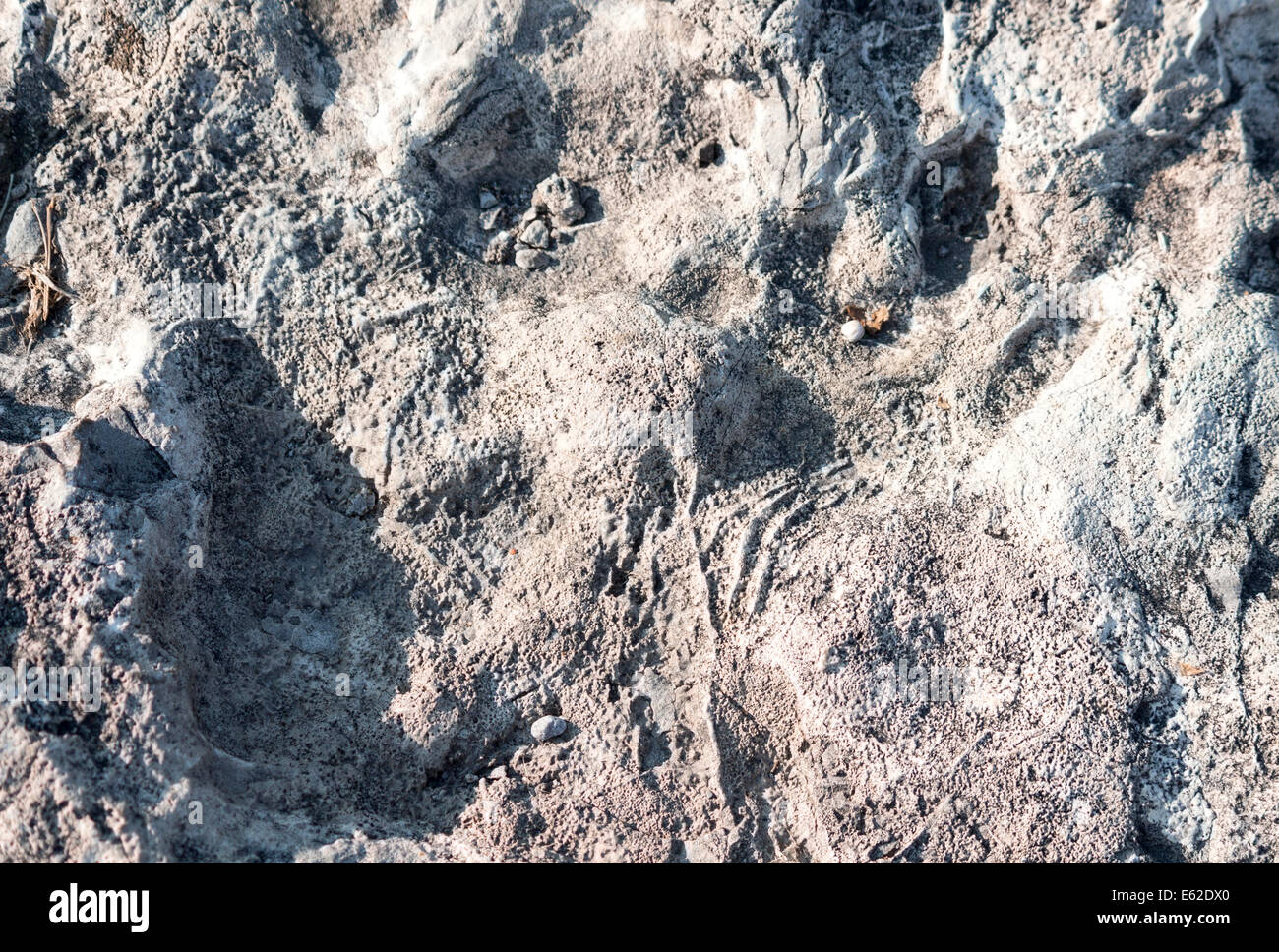 Rock face rockface hi-res stock photography and images - Alamy