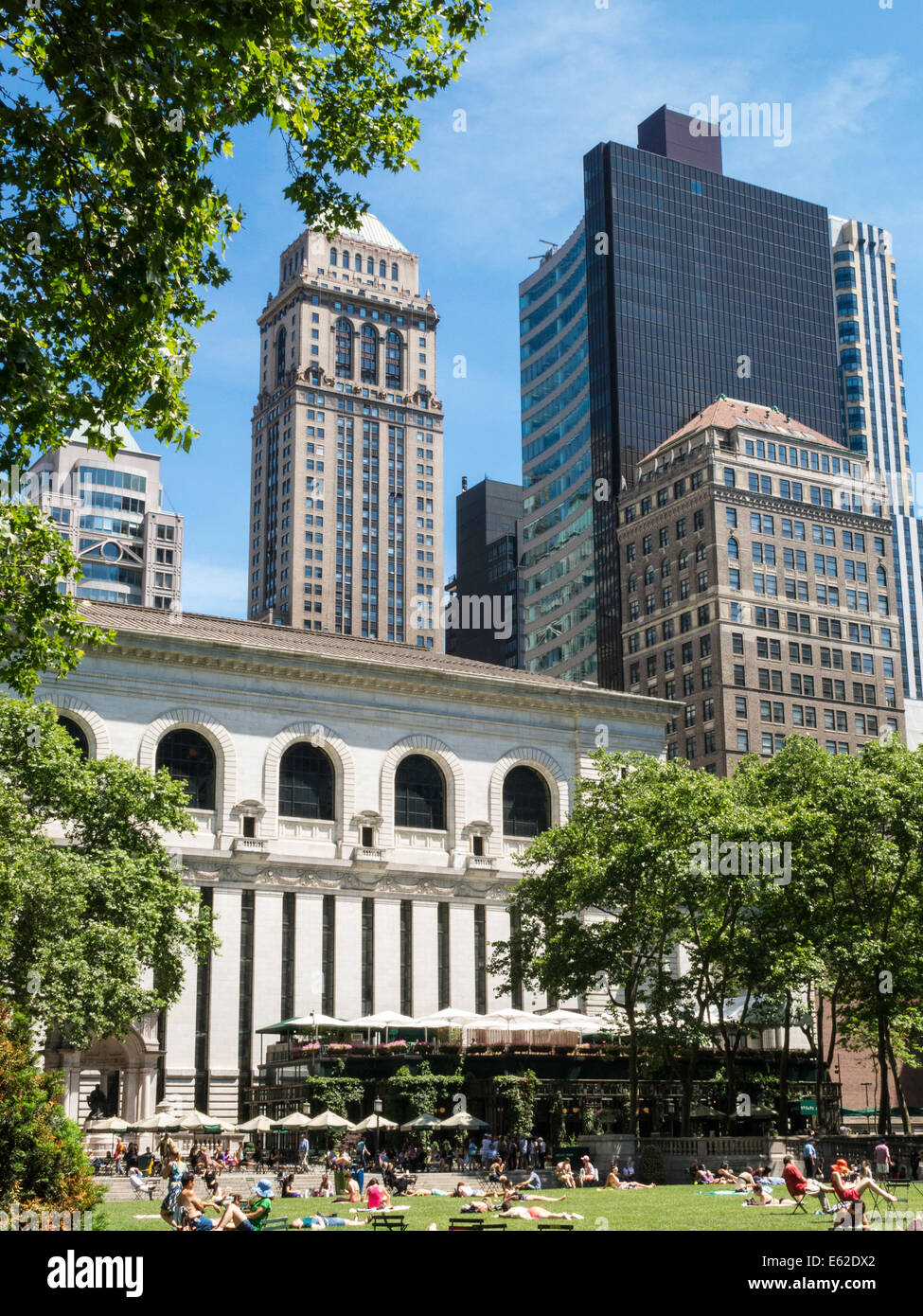 Library of trees park hi-res stock photography and images - Alamy