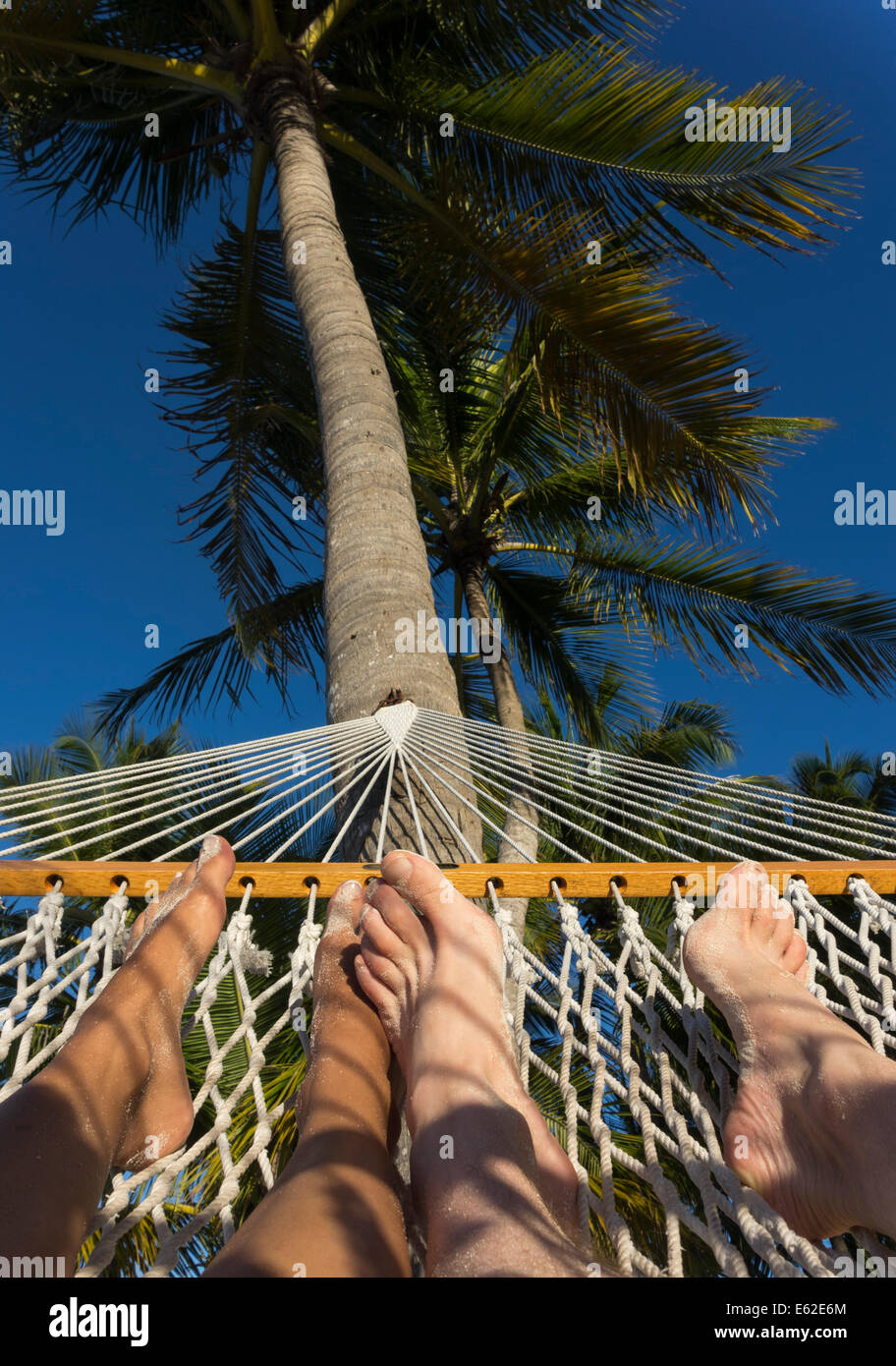 feet of couple in hammock under palm tree Stock Photo - Alamy