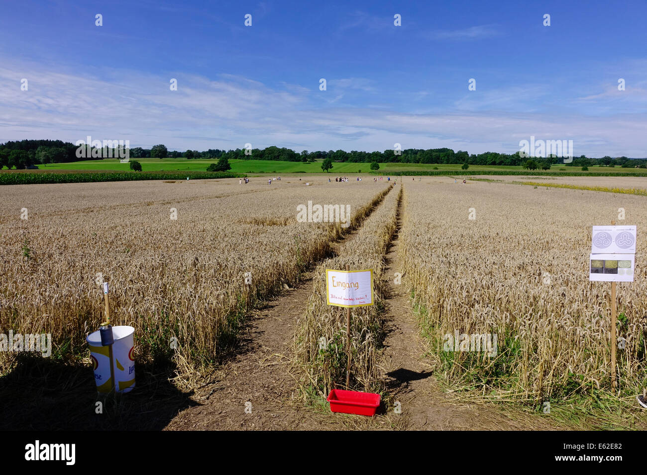 People admire a crop circle in a corn field at Rasiting, Upper Bavaria ...