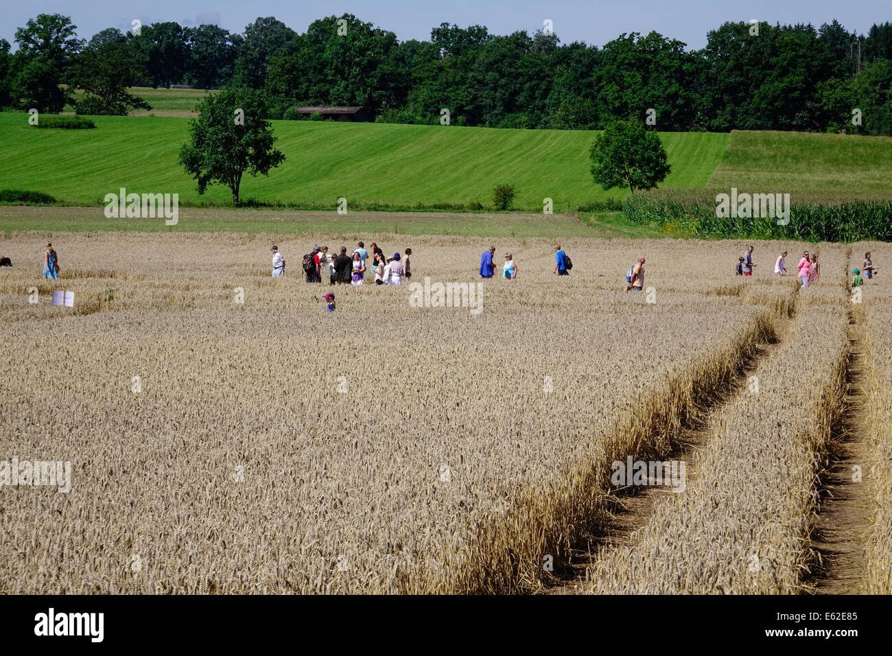 People admire a crop circle in a corn field at Rasiting, Upper Bavaria ...