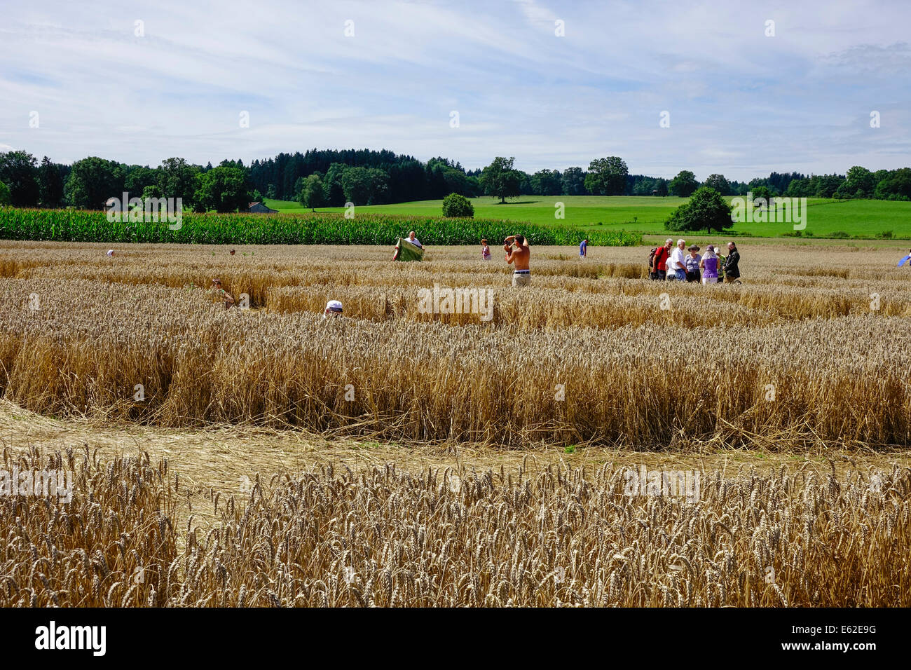 People admire a crop circle in a corn field at Rasiting, Upper Bavaria ...