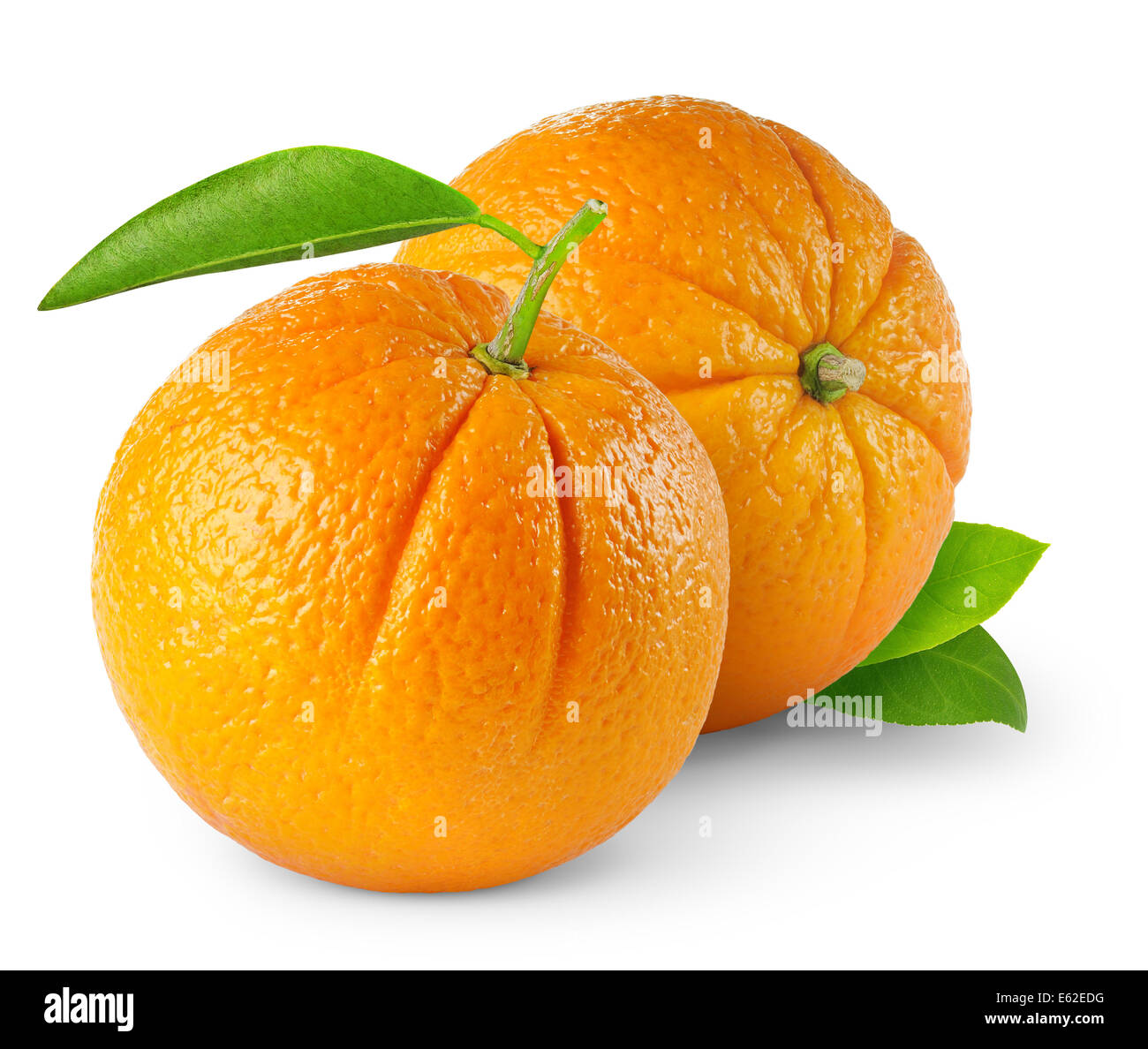 Two oranges on white background Stock Photo - Alamy