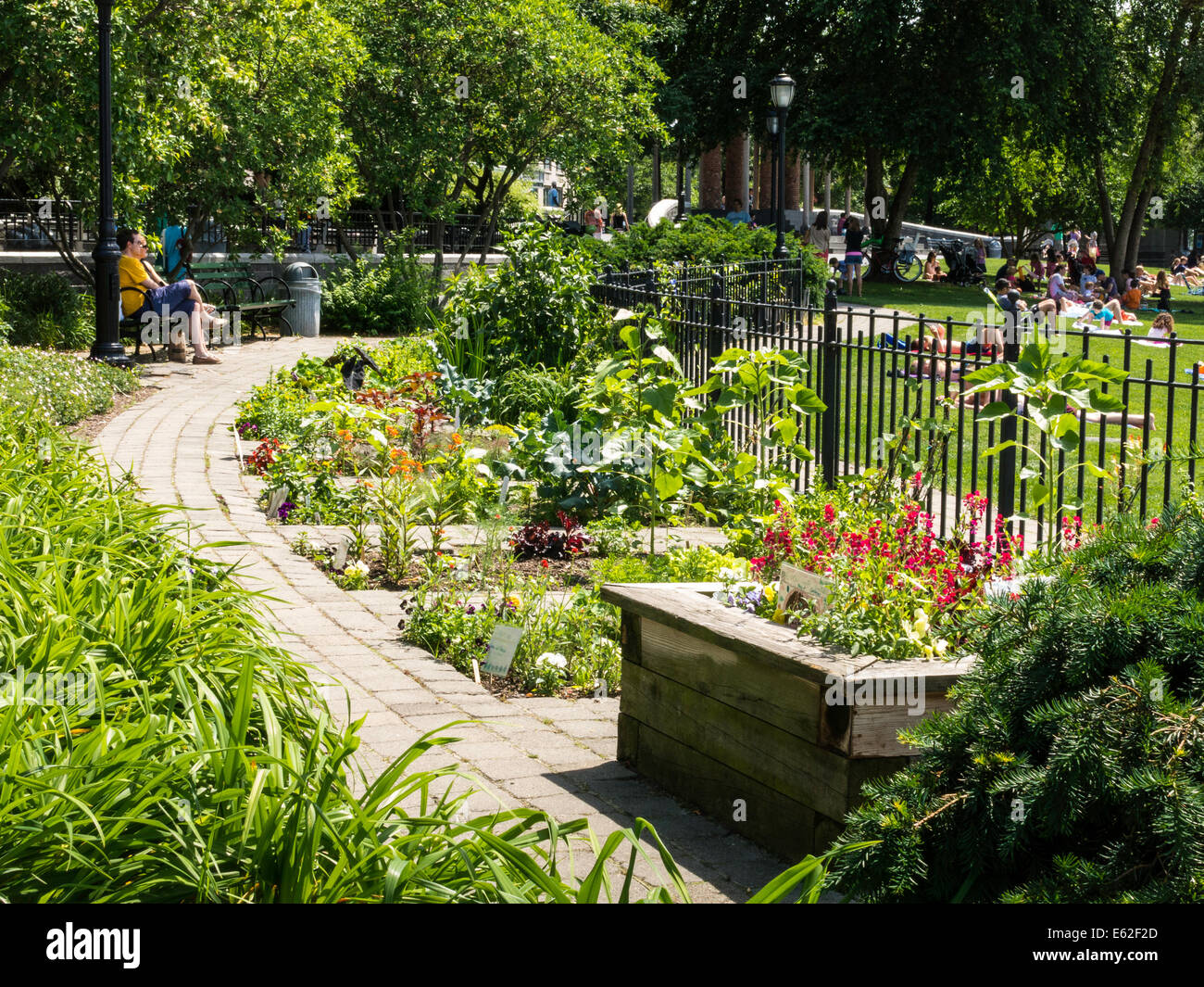 Nelson A. Rockefeller Park in Battery Park City, NYC Stock Photo - Alamy