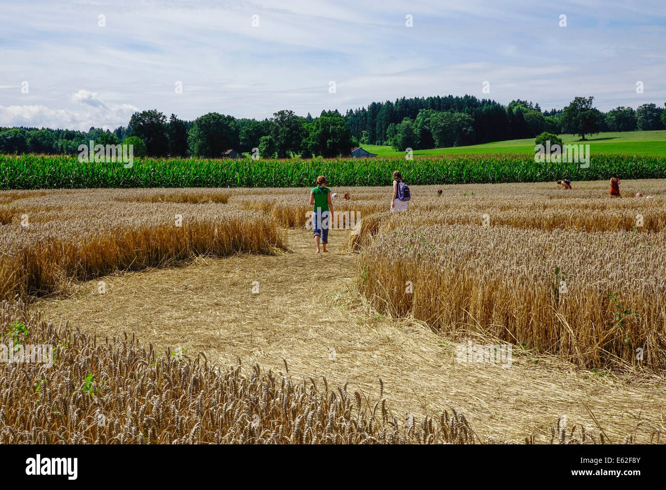 People admire a crop circle in a corn field at Rasiting, Upper Bavaria ...