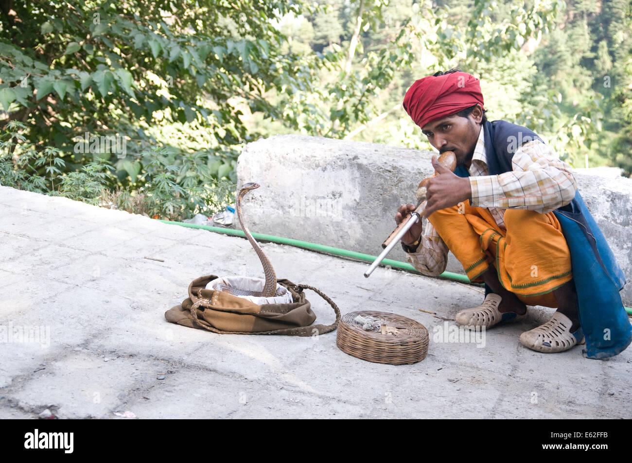Snake charmer in Manali, India Stock Photo - Alamy