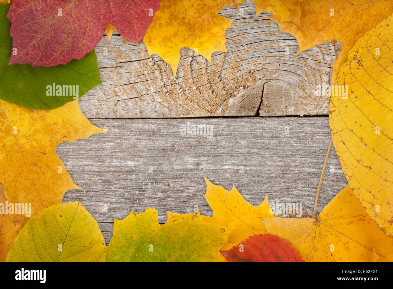 Autumn leaves on wood texture background Stock Photo - Alamy