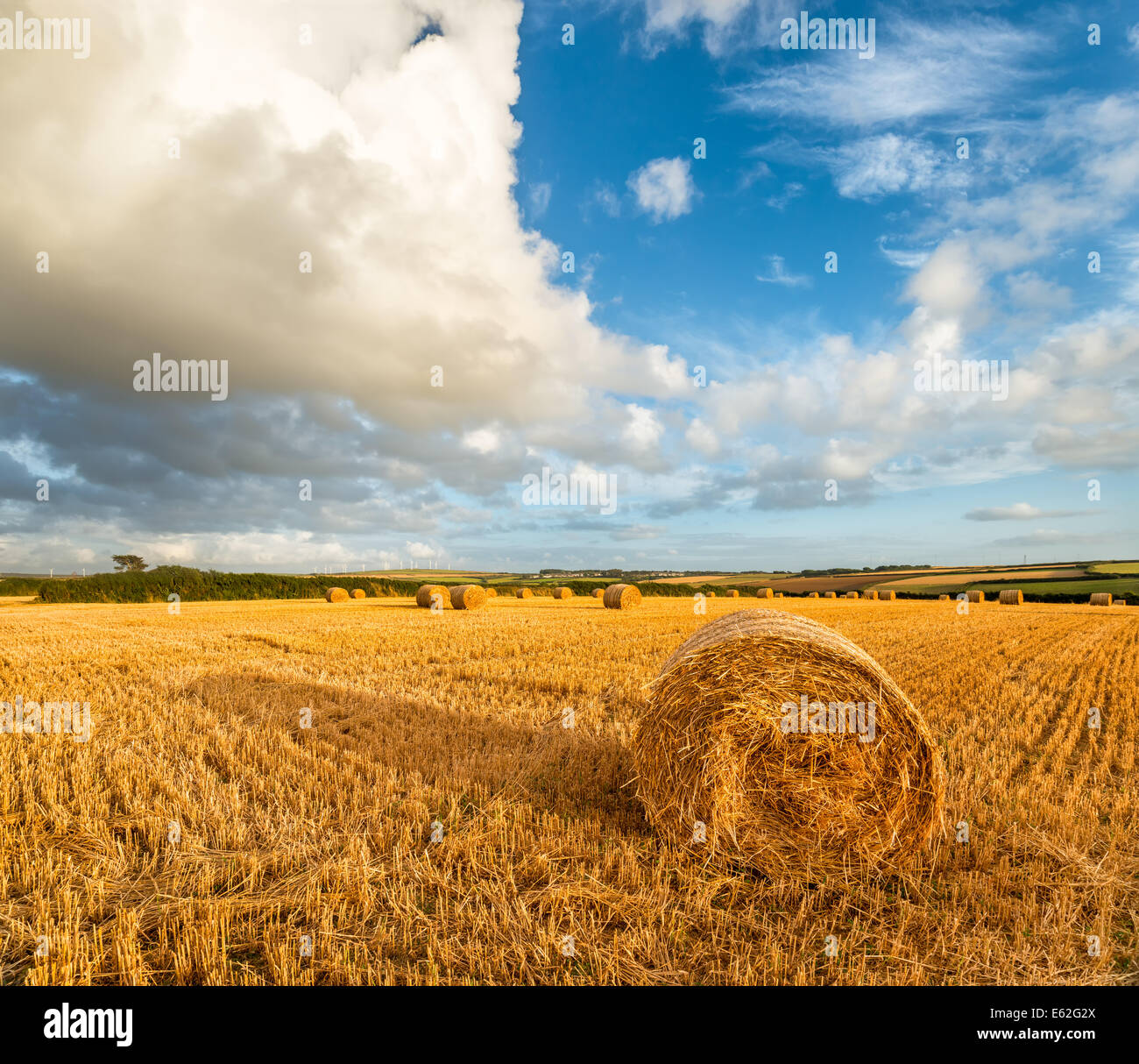 Hay bales under a blue sky near Padstow in Cornwall with wind turbines ...