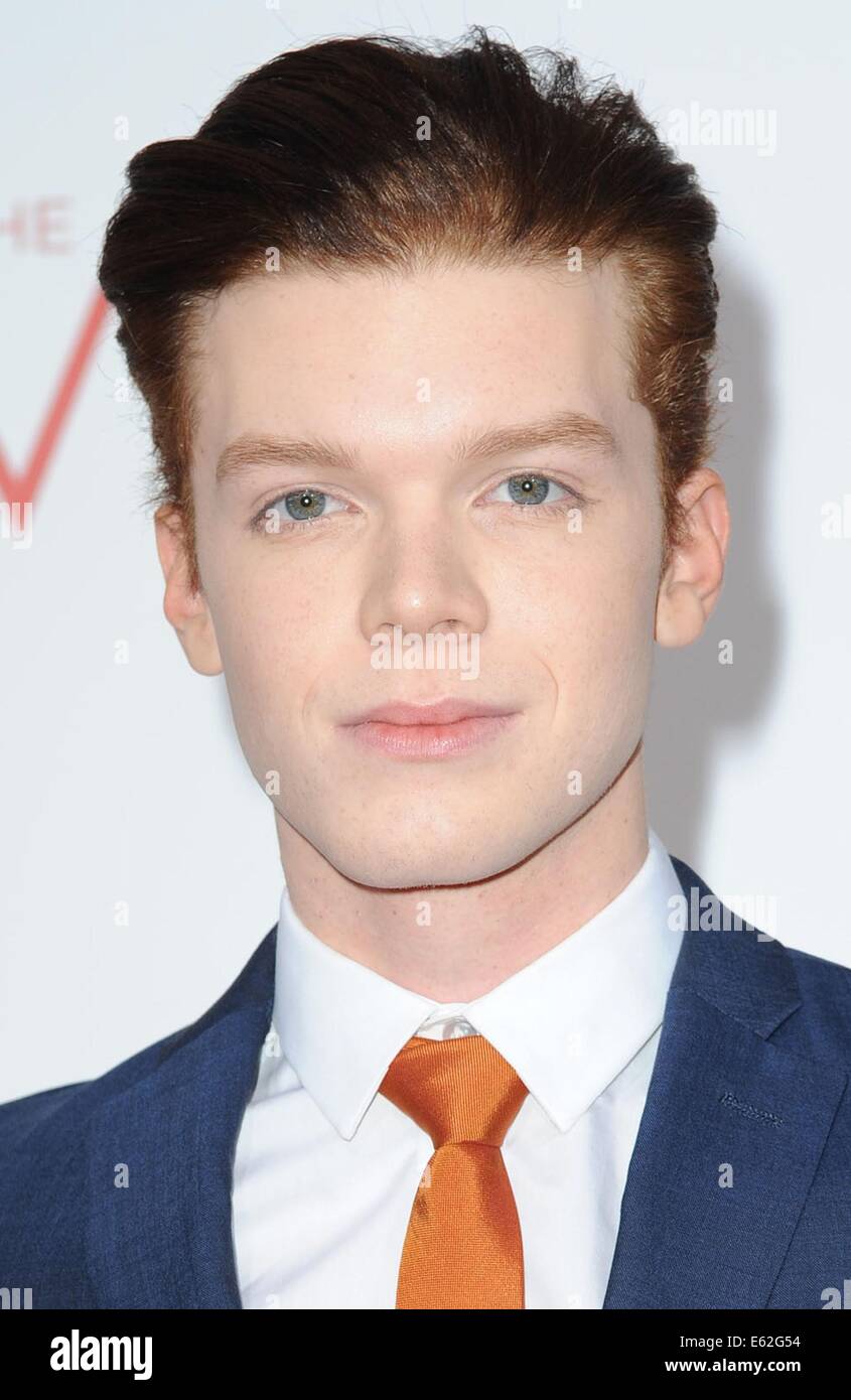 New York, NY, USA. 11th Aug, 2014. Cameron Monaghan at arrivals for THE ...
