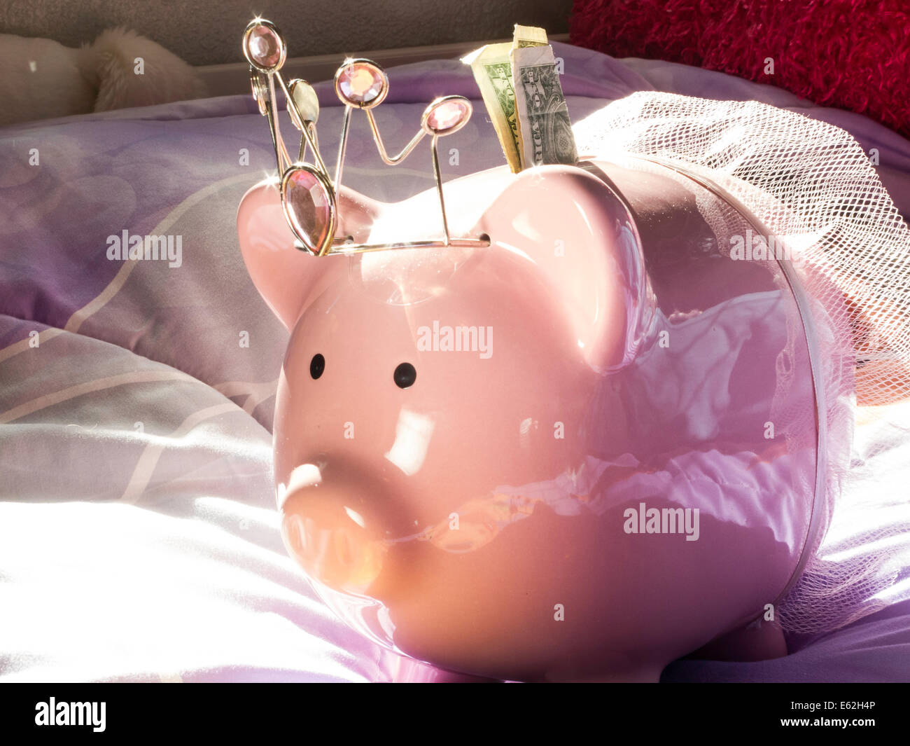 Princess Pig High Resolution Stock Photography and Images - Alamy