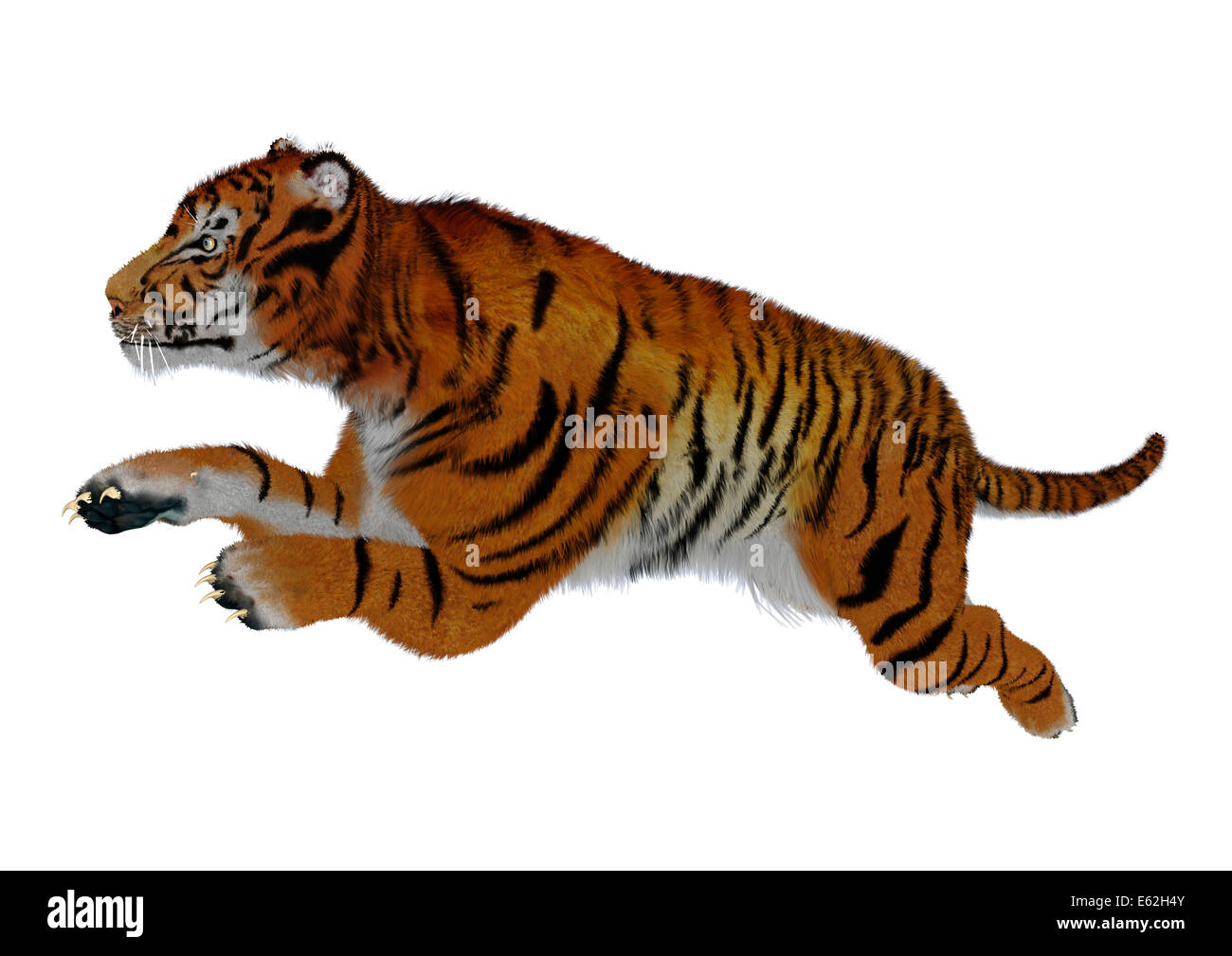 3D digital render of a jumping tiger isolated on white background Stock ...