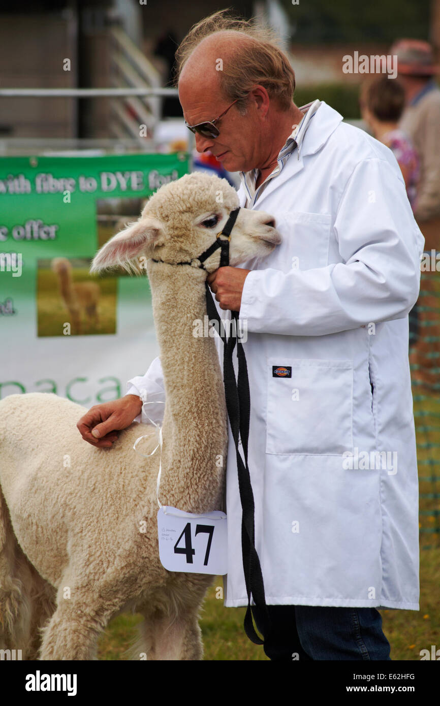 The Ellingham & Ringwood Agricultural Society Annual Show at Somerley ...