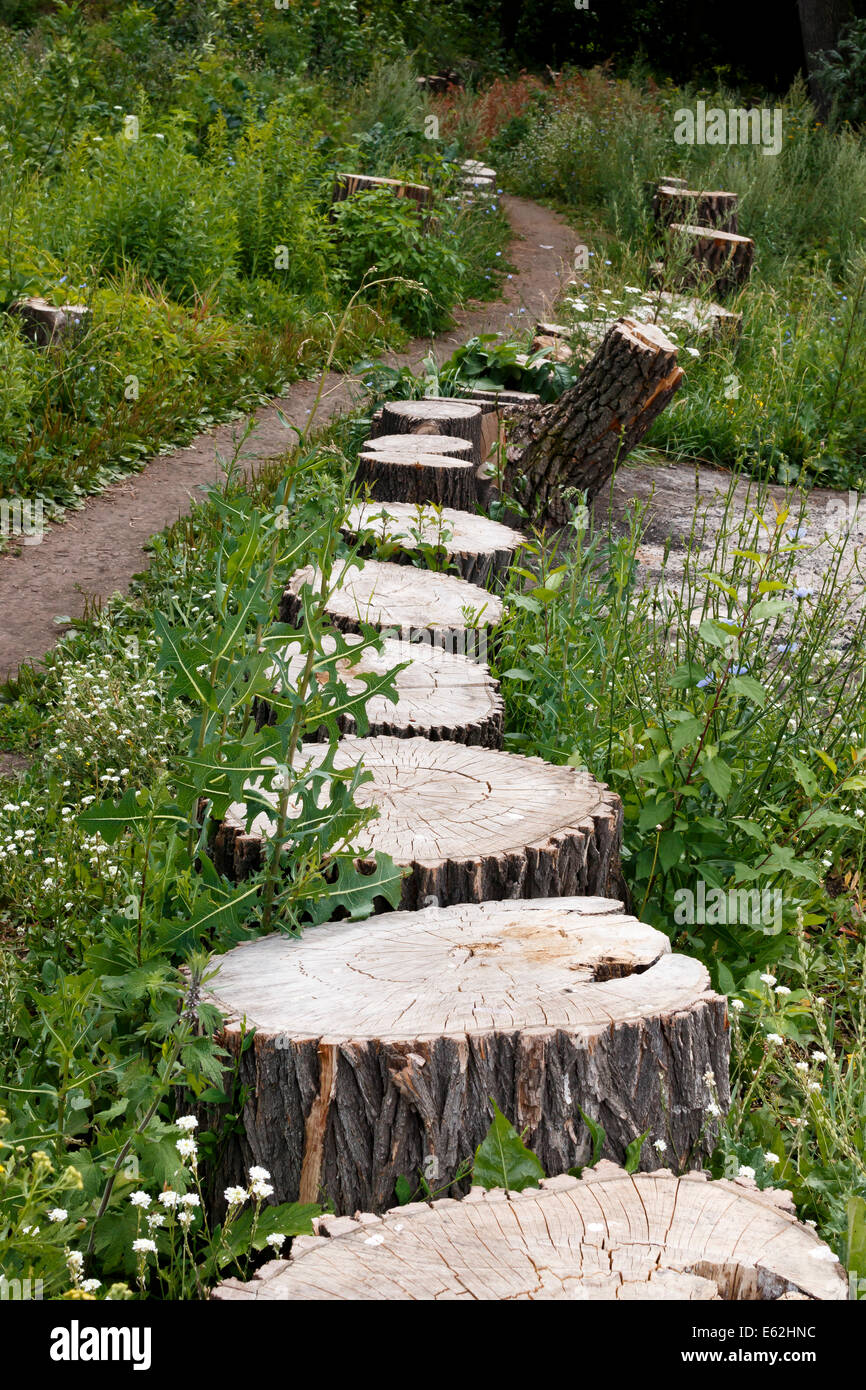 hemp trees, stumps Stock Photo - Alamy