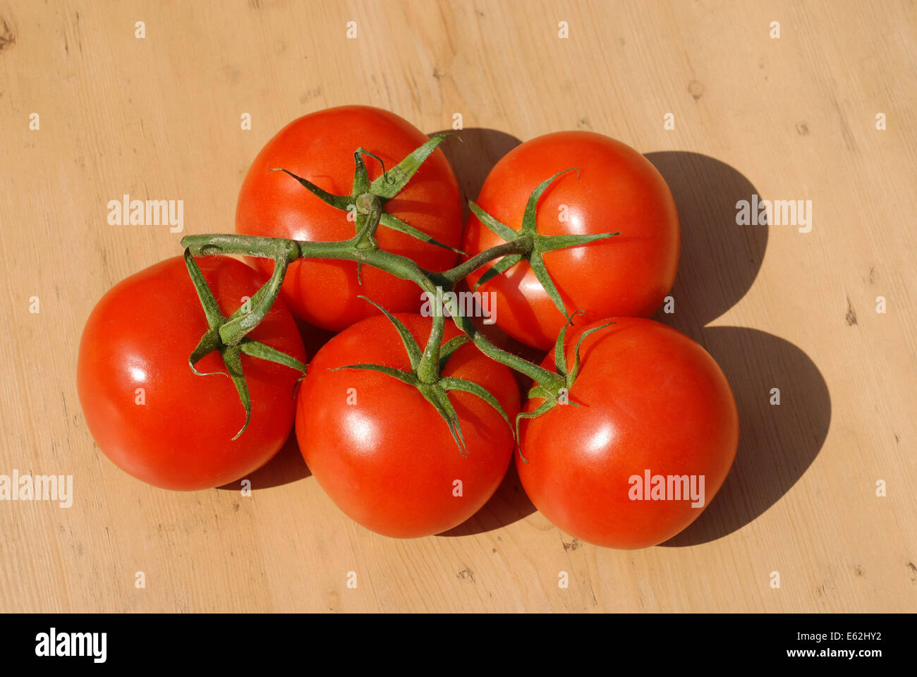 vine ripened tomatoes Stock Photo - Alamy