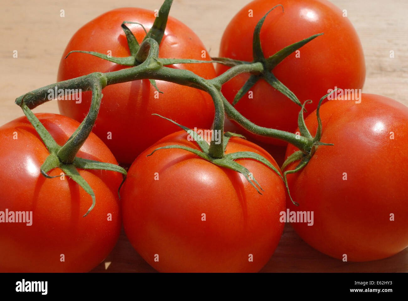 vine ripened tomatoes Stock Photo - Alamy
