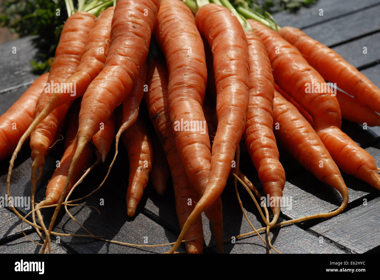 bunch of carrots Stock Photo - Alamy