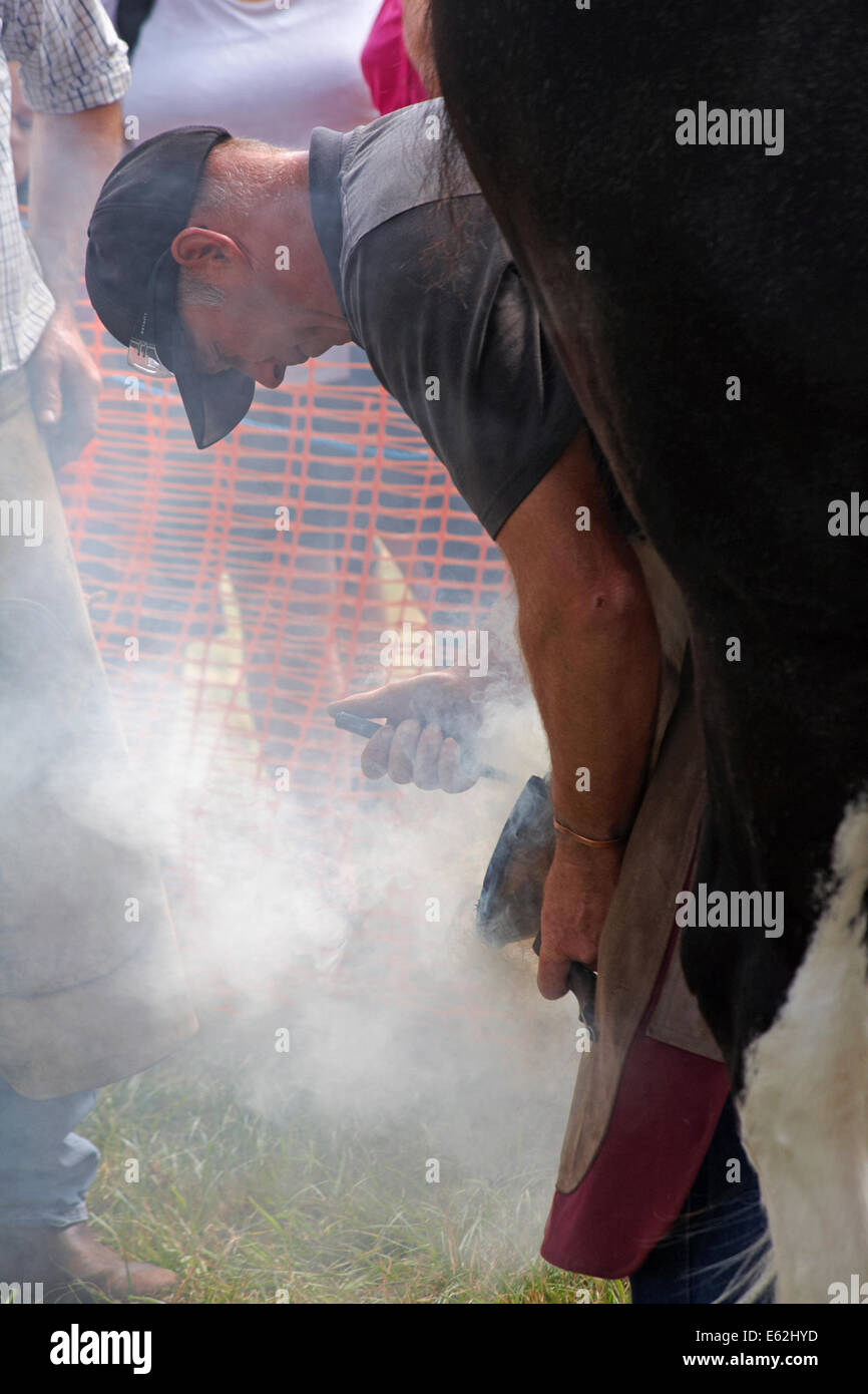 The Ellingham & Ringwood Agricultural Society Annual Show at Somerley ...