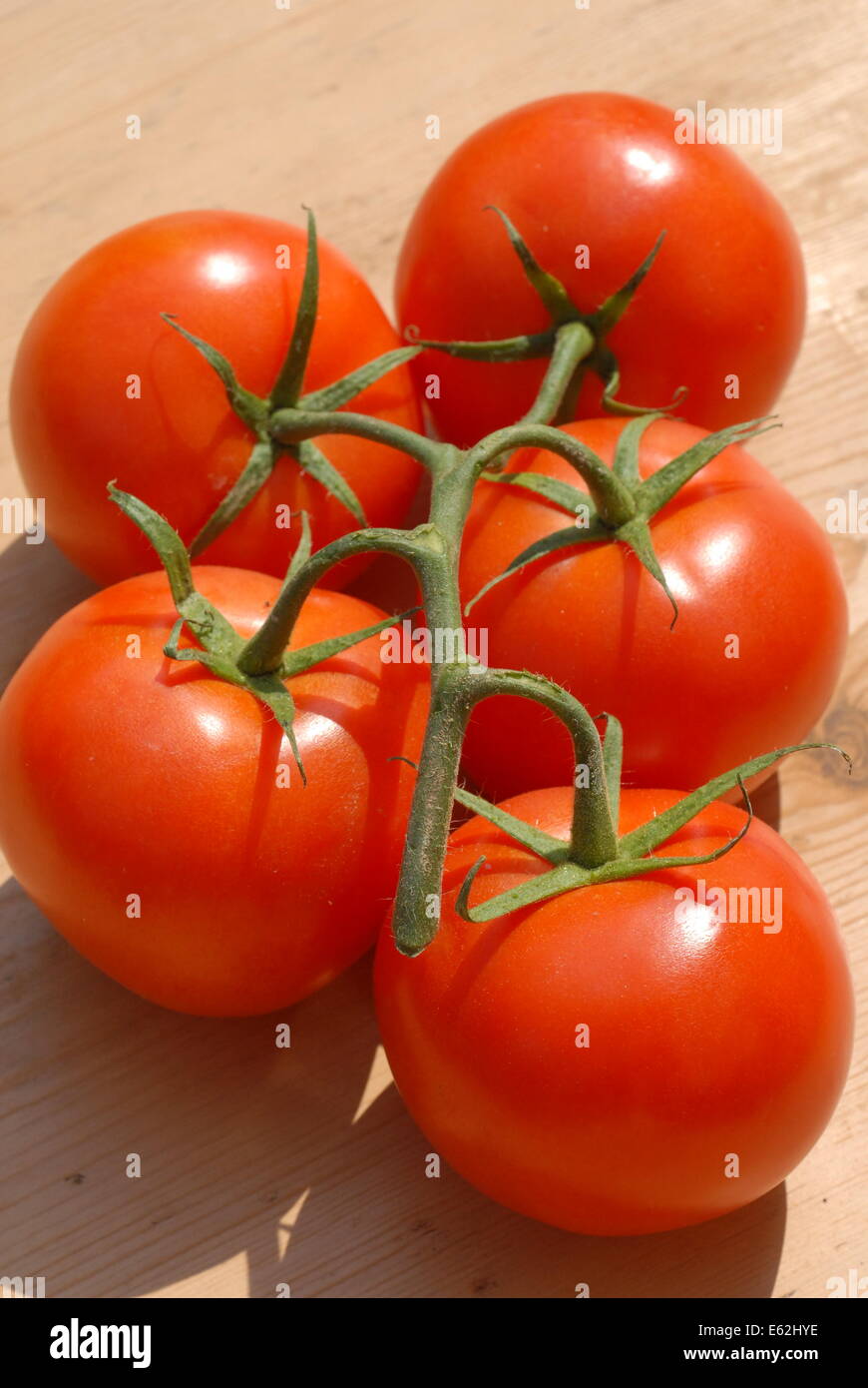 vine ripened tomatoes Stock Photo - Alamy