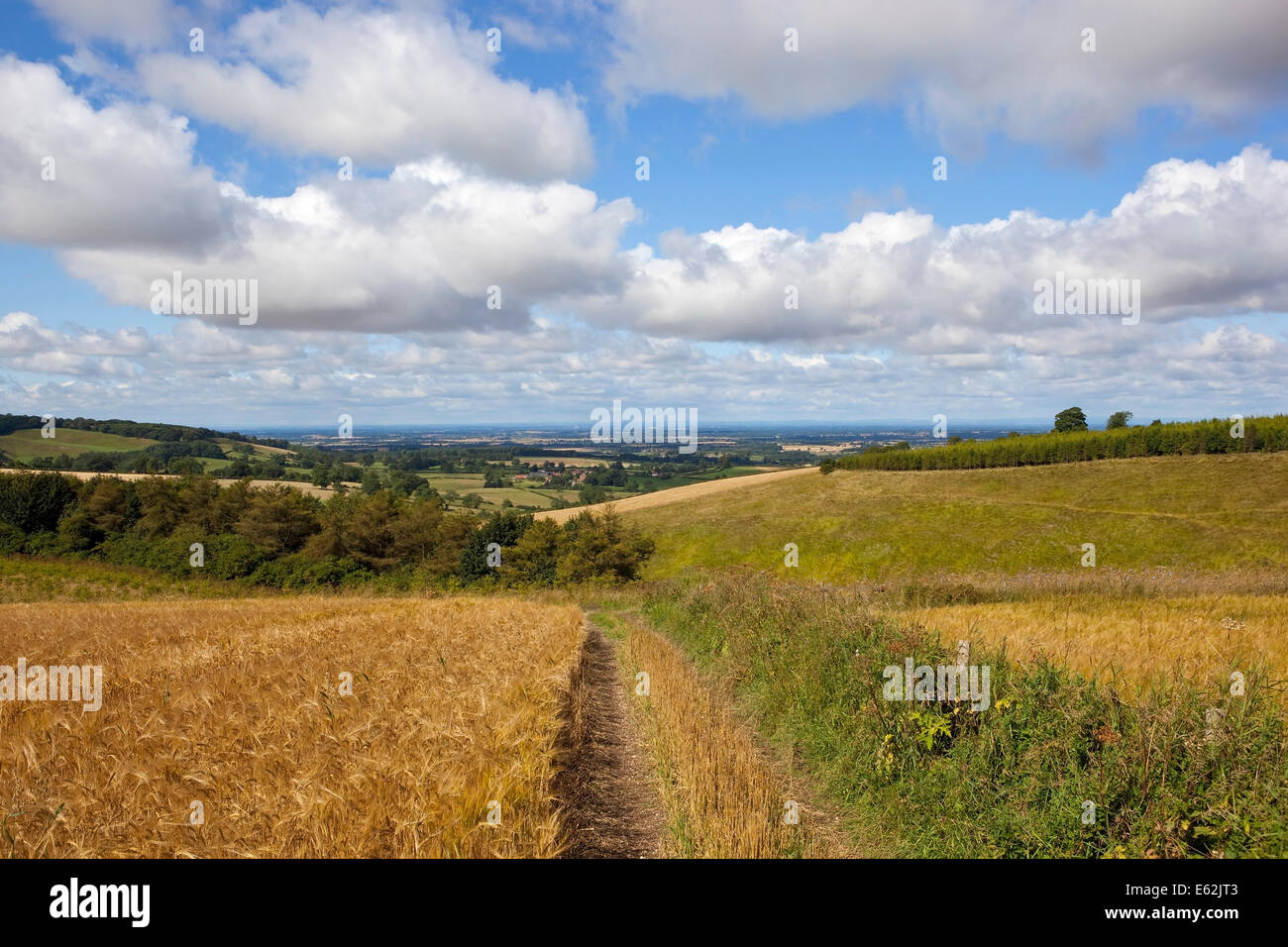 A view towards the vale of York from a hillside barley field under a ...