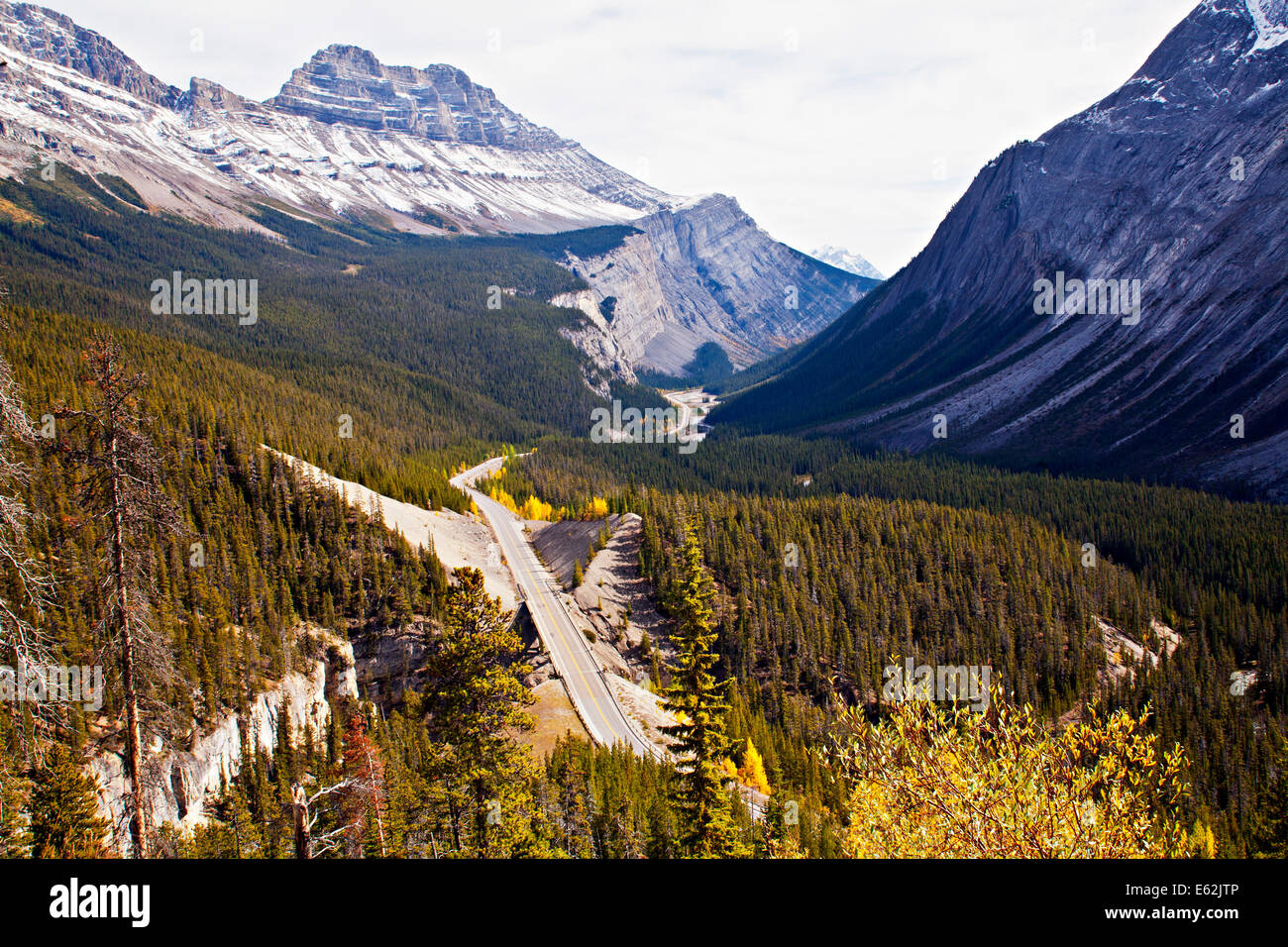 Looking down Highway 93 North Icefields Parkway in mountain valley of ...