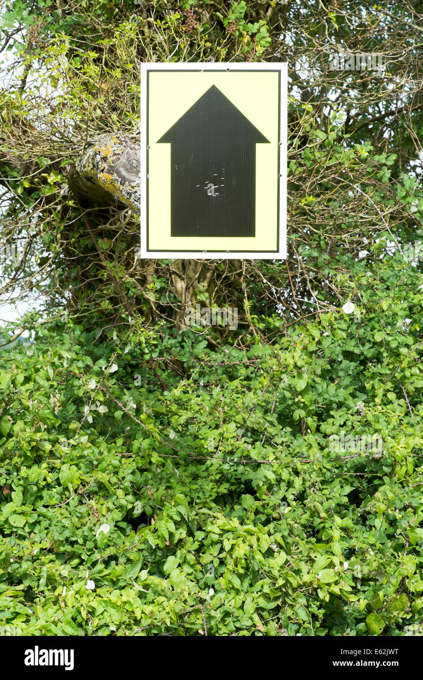 Black arrow on yellow background pointing upward into tree Stock Photo ...