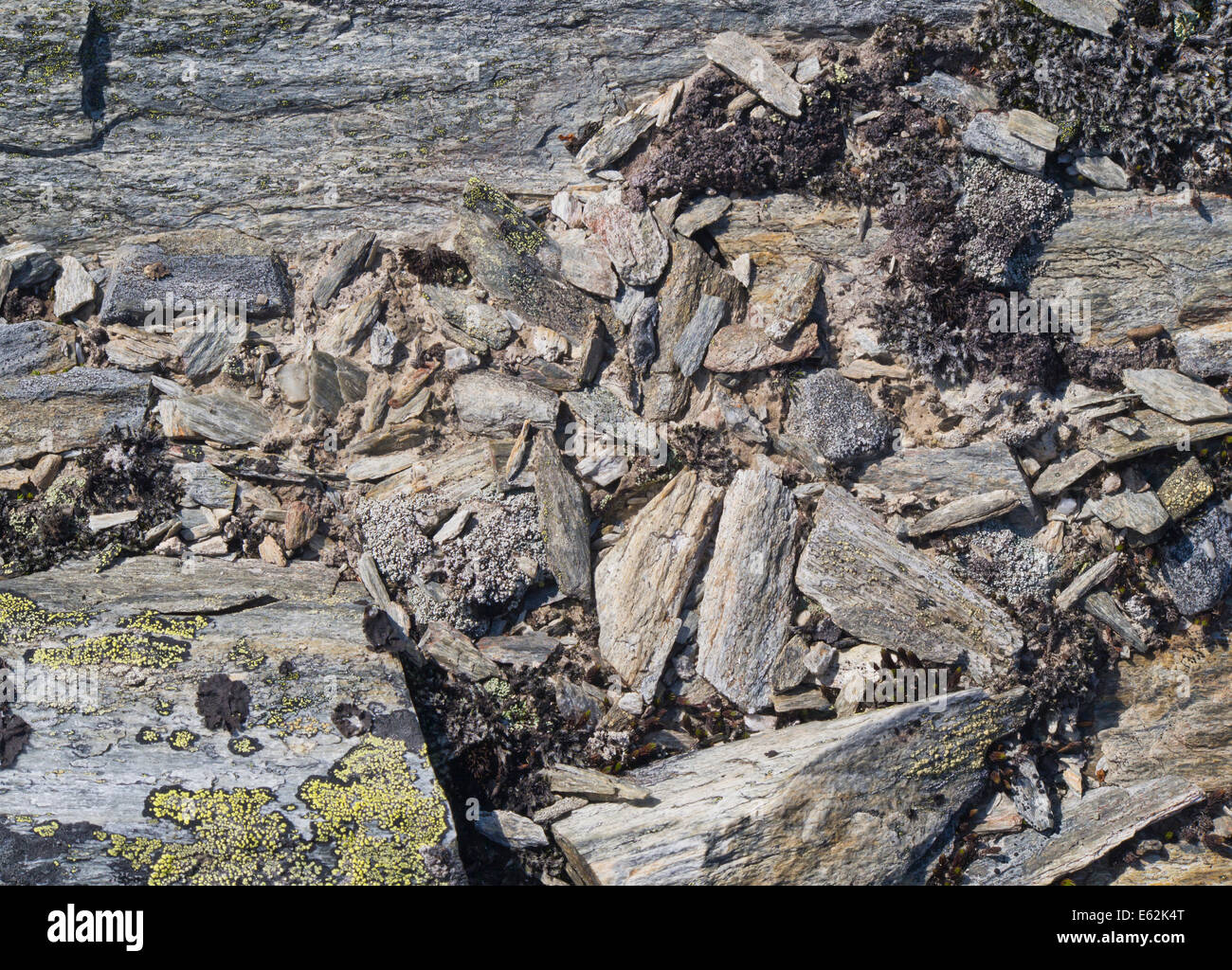 Flat Stones Stock Photos & Flat Stones Stock Images - Alamy