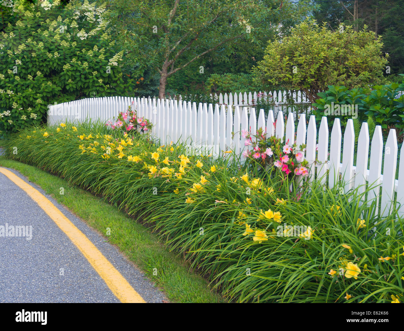 White picket fence in traditional garden Stock Photo - Alamy