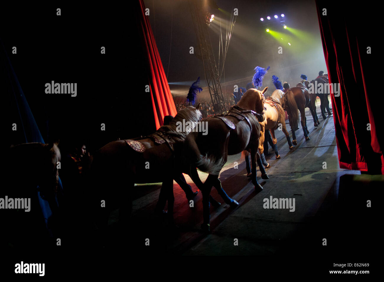 Mexico City, Mexico. 12th Aug, 2014. Photo taken on Aug. 8, 2014 shows ...